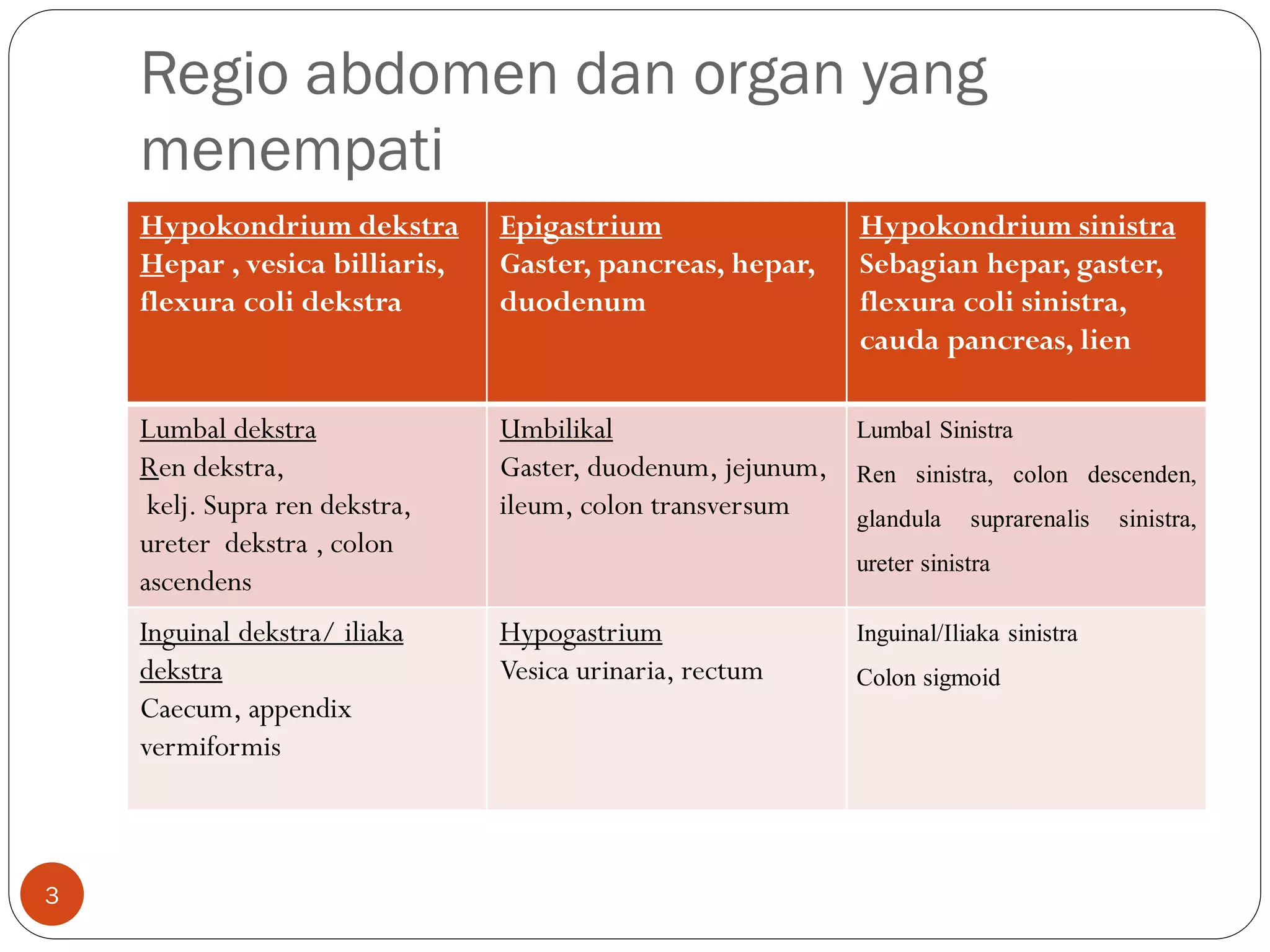 ANATOMI saluran cerna_0.pdf