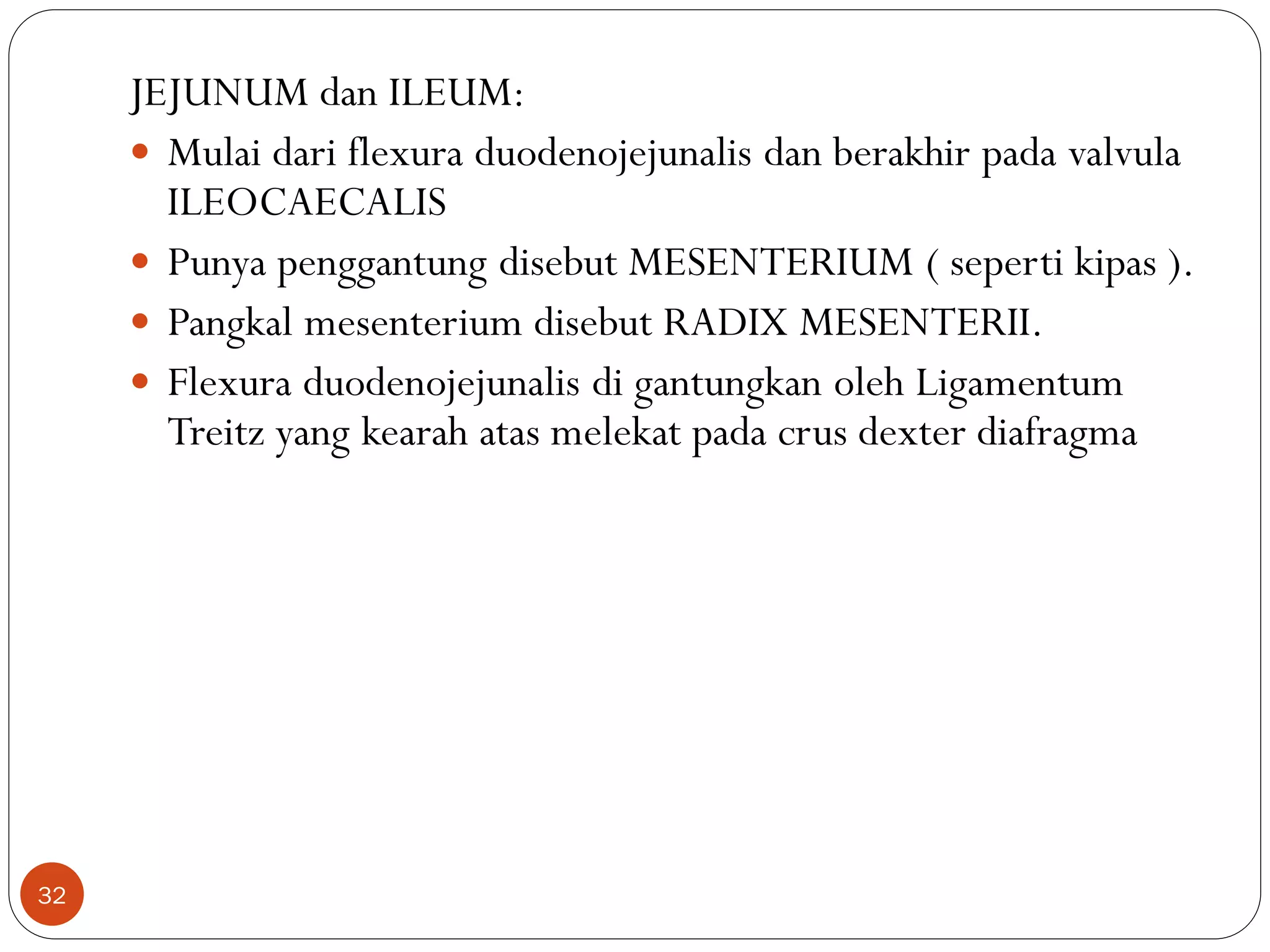 ANATOMI saluran cerna_0.pdf