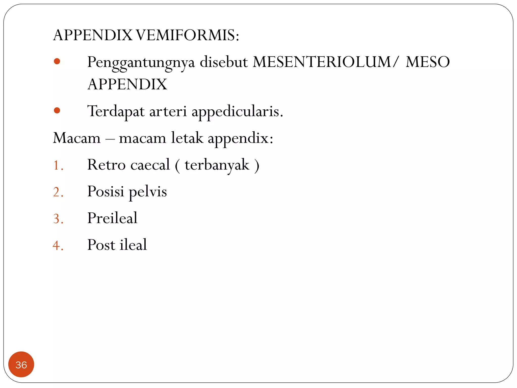 ANATOMI saluran cerna_0.pdf