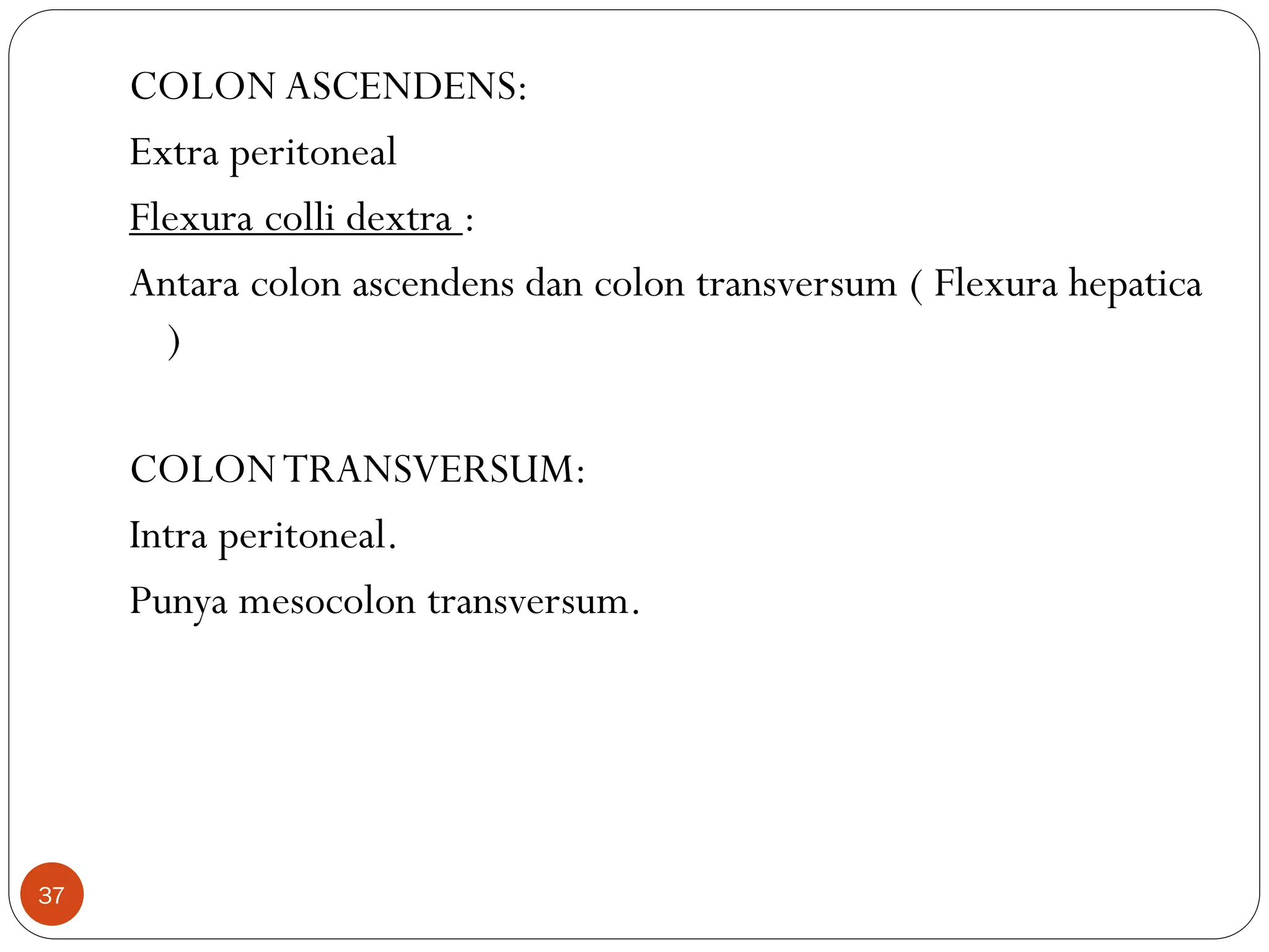 ANATOMI saluran cerna_0.pdf