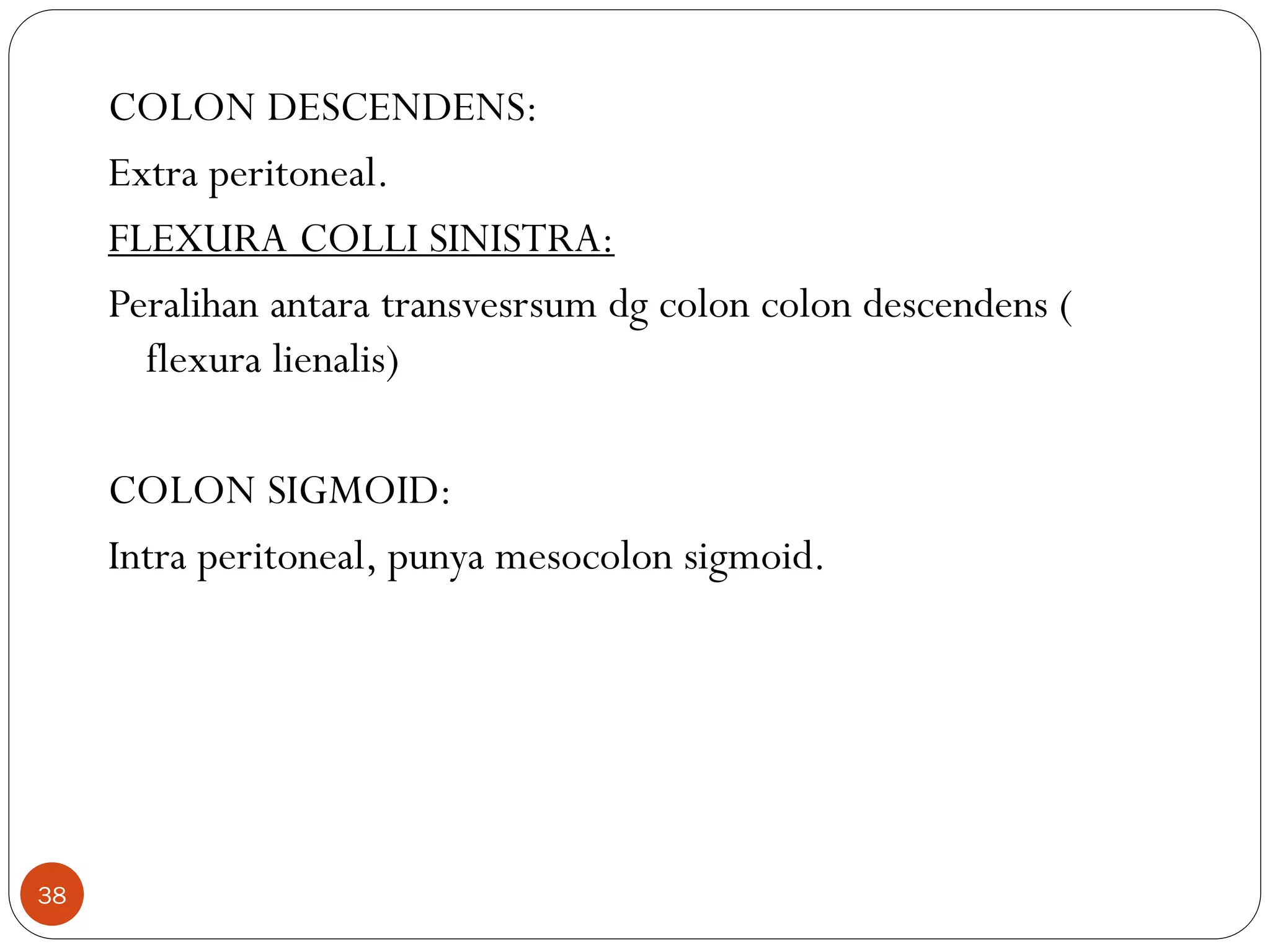 ANATOMI saluran cerna_0.pdf