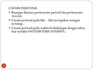 ANATOMI saluran cerna_0.pdf