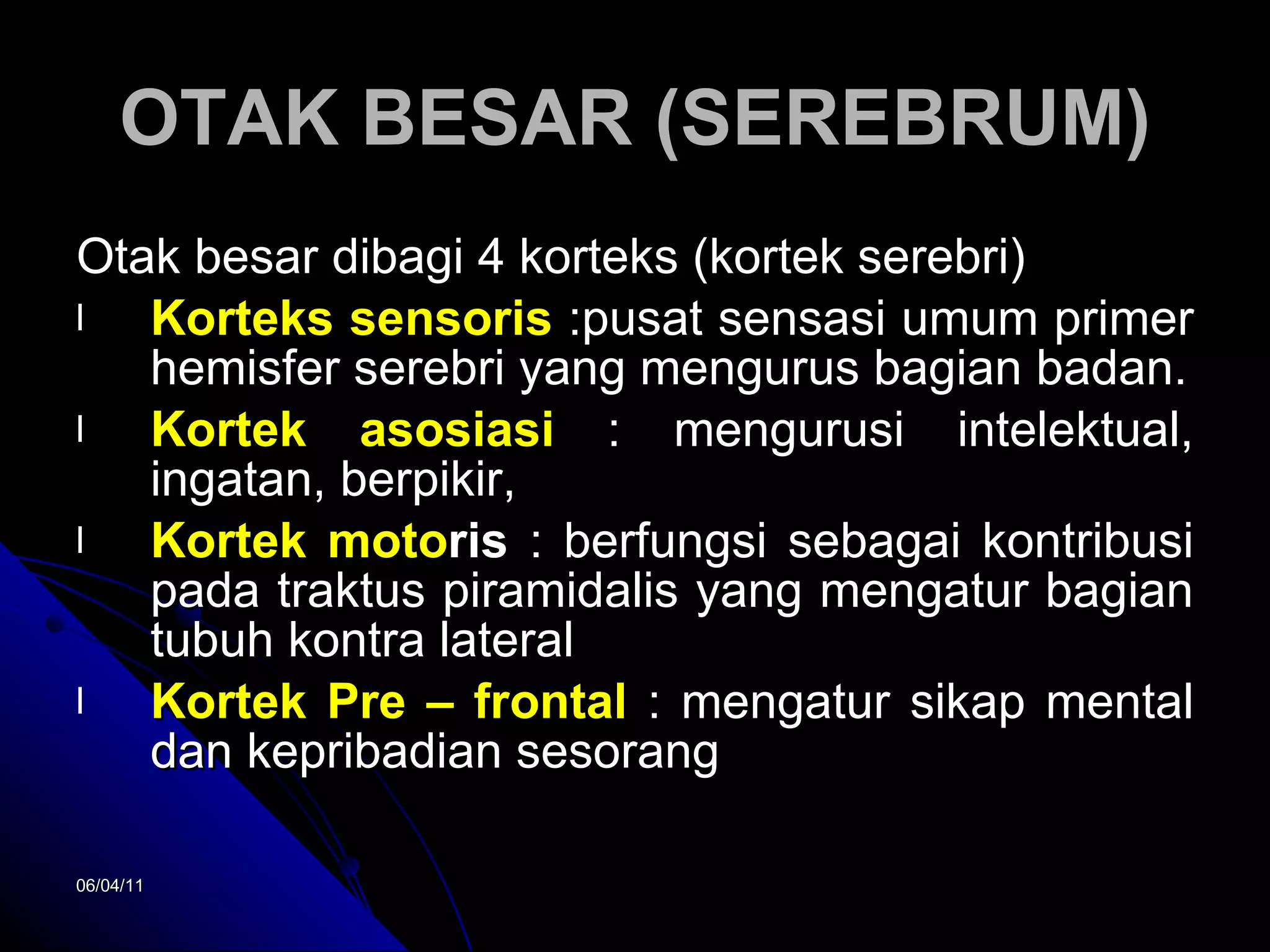 Anatomi saraf | PPT