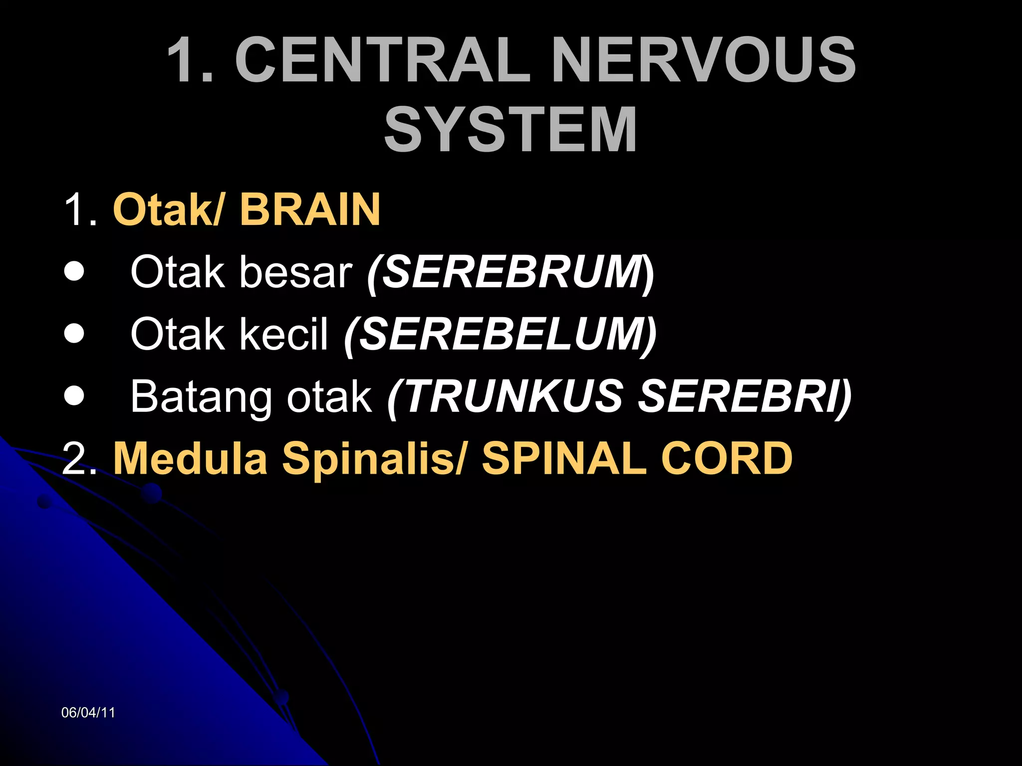 Anatomi saraf | PPT