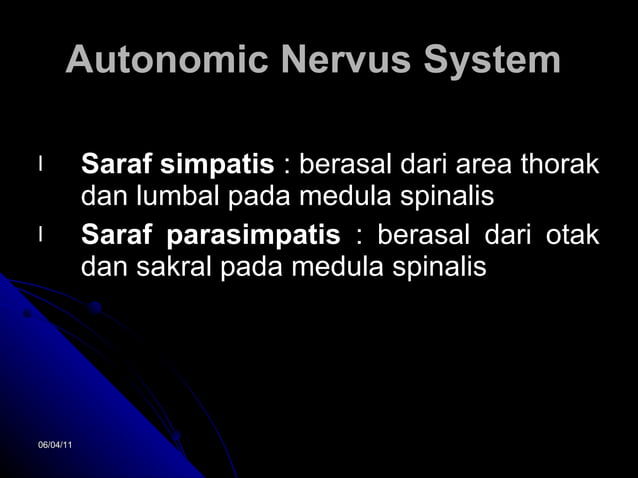 Anatomi saraf | PPT