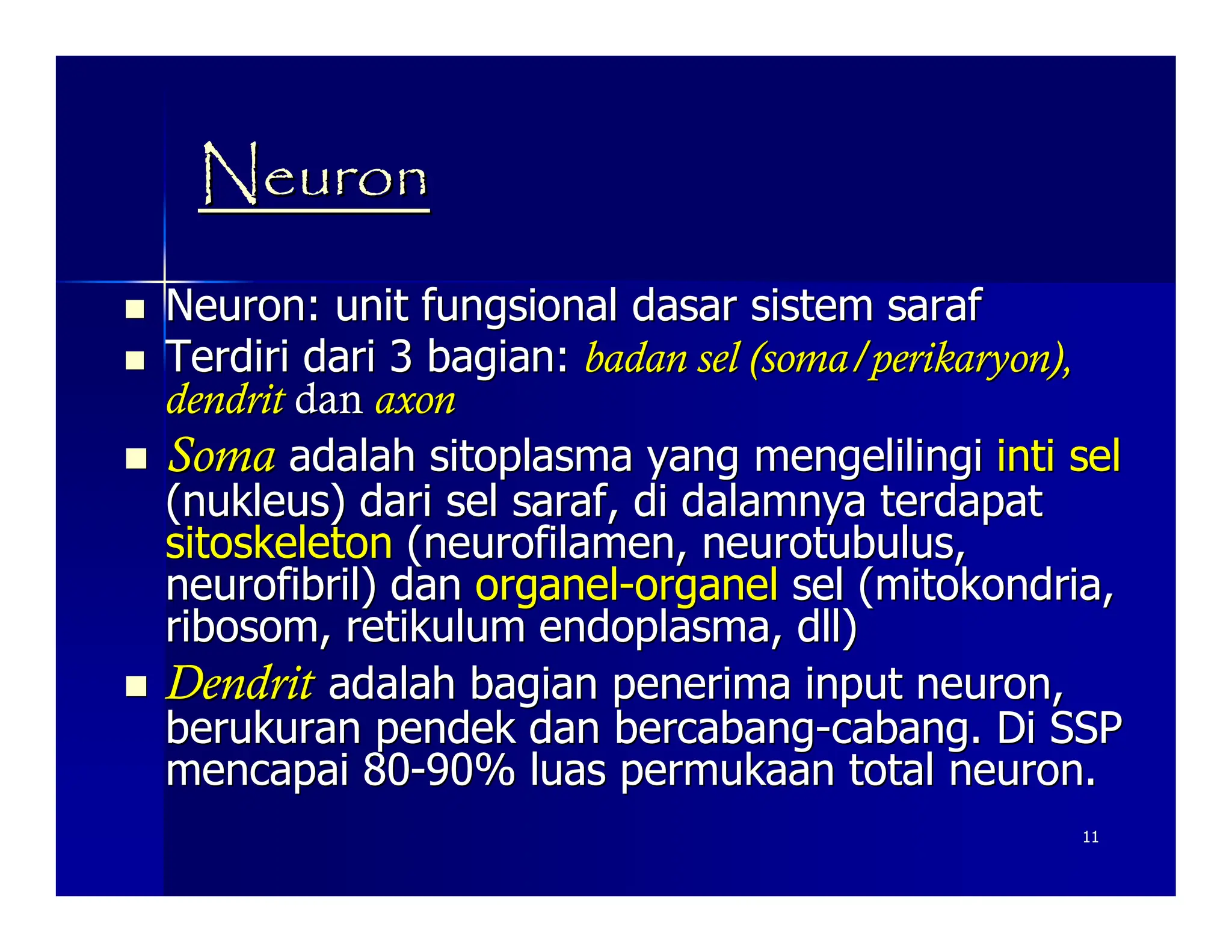 Anatomi Sistem Saraf Pusat dan Sistem Saraf Tepi | PDF