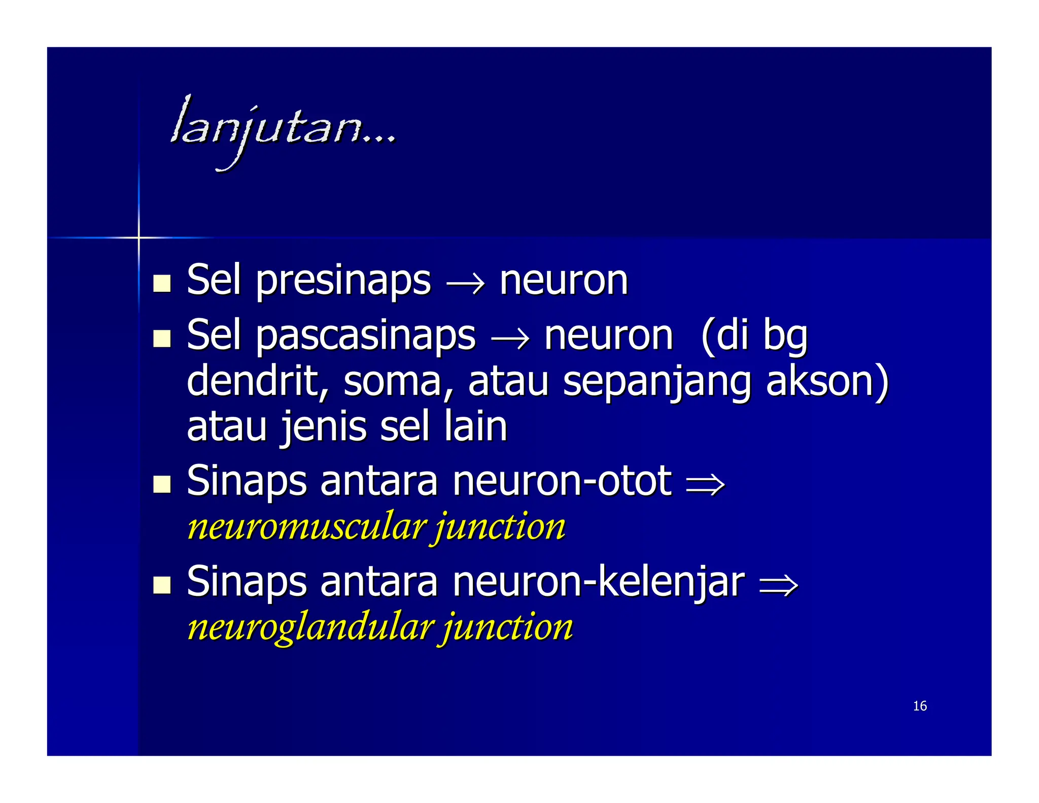 Anatomi Sistem Saraf Pusat dan Sistem Saraf Tepi | PDF