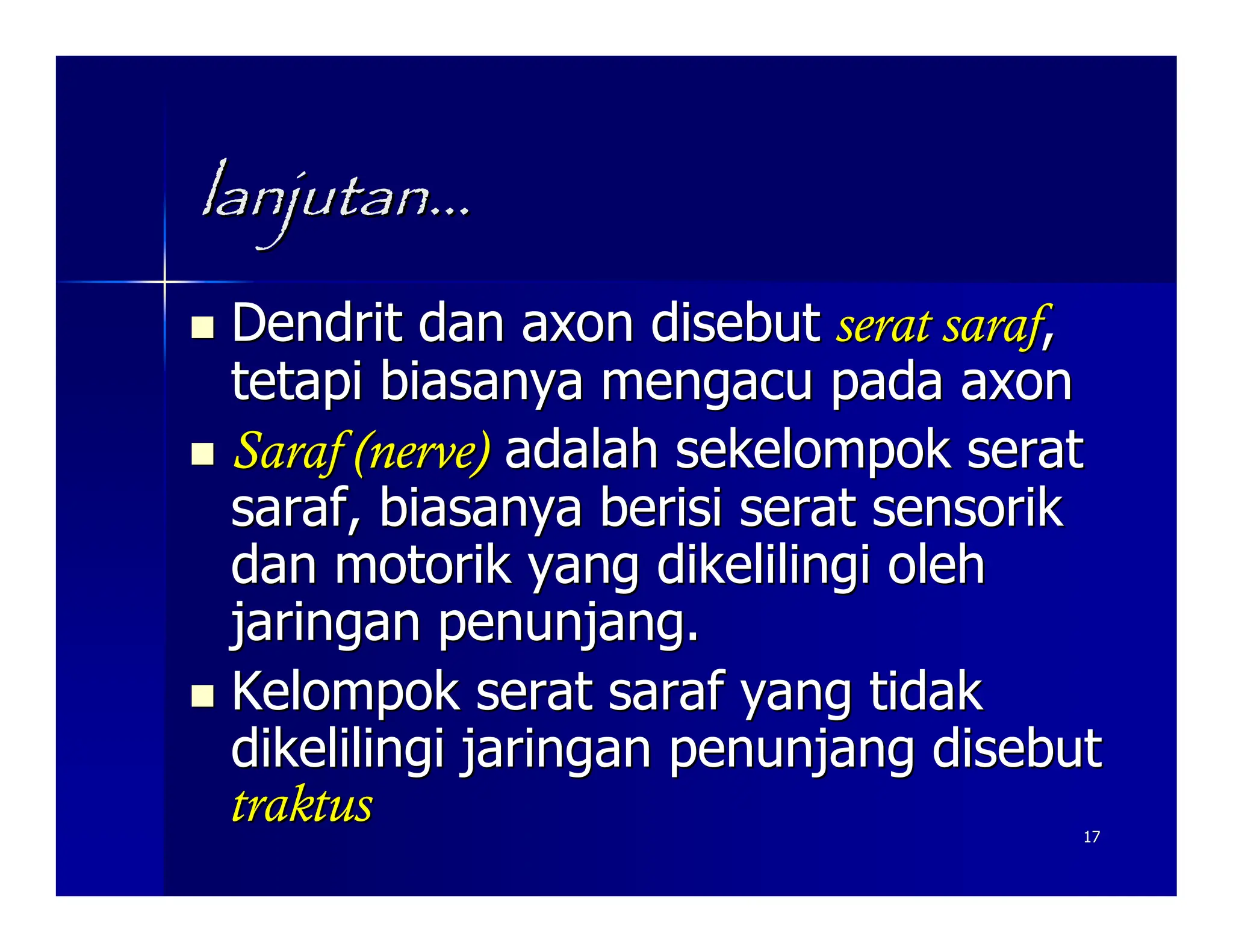 Anatomi Sistem Saraf Pusat dan Sistem Saraf Tepi | PDF