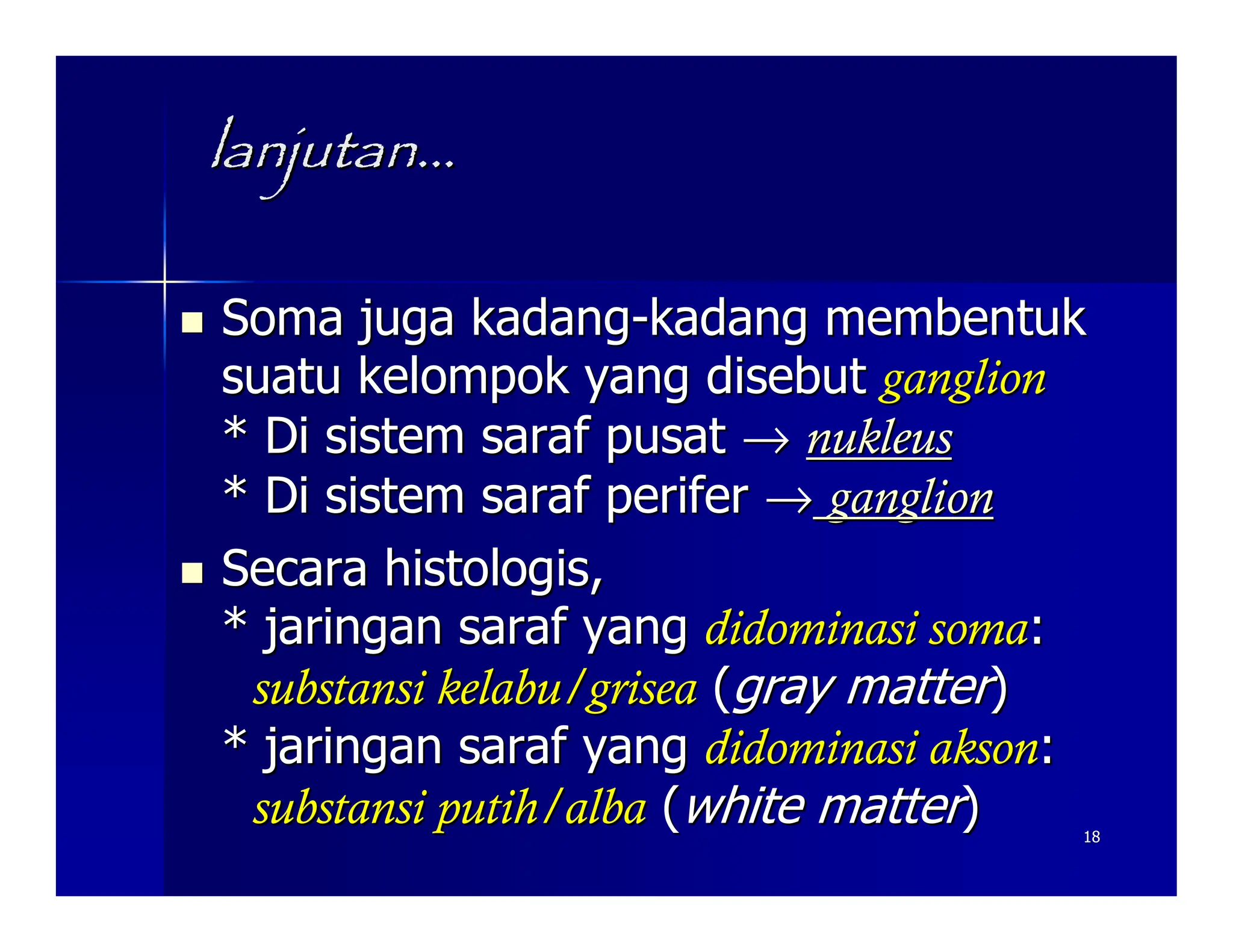 Anatomi Sistem Saraf Pusat dan Sistem Saraf Tepi | PDF