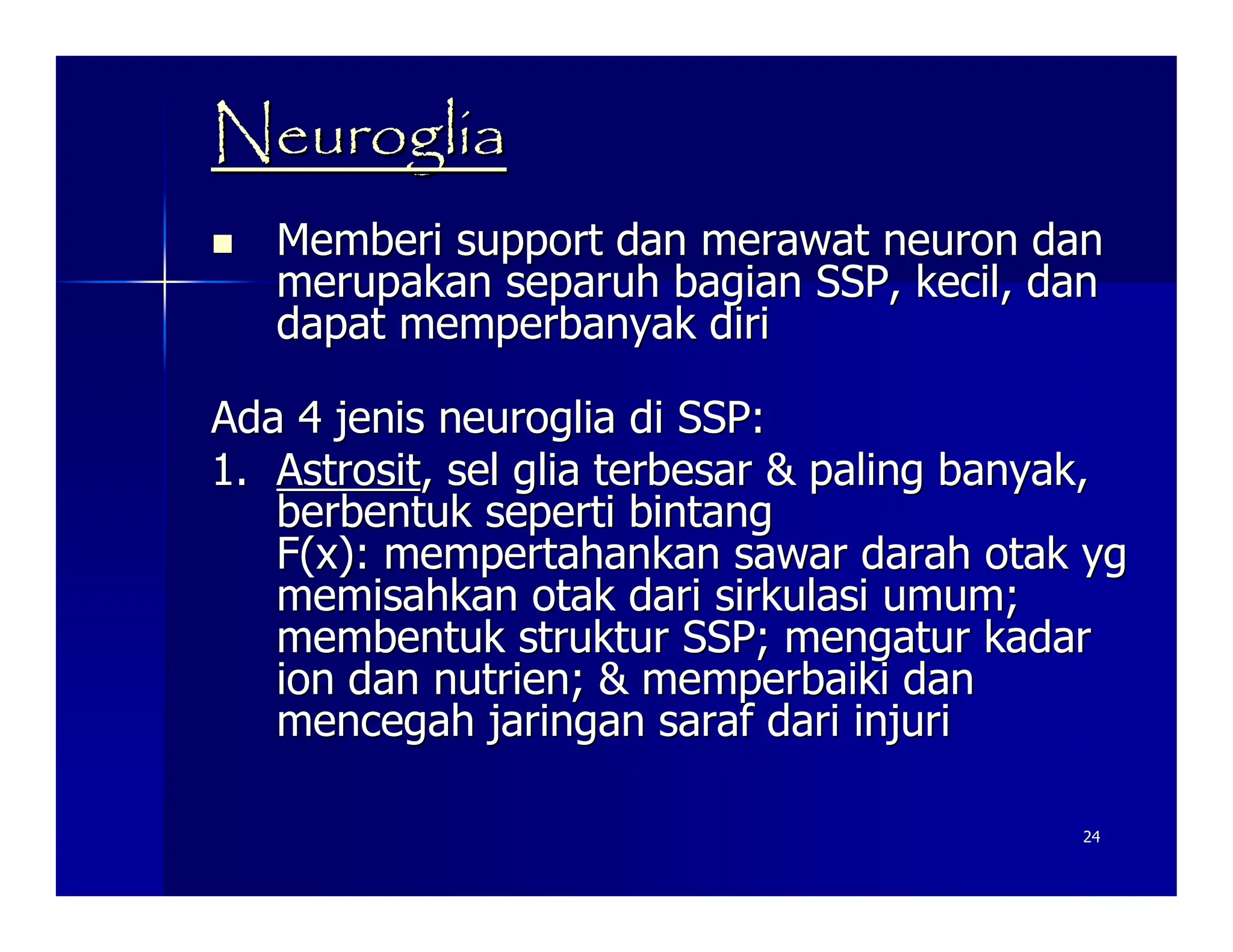 Anatomi Sistem Saraf Pusat dan Sistem Saraf Tepi | PDF