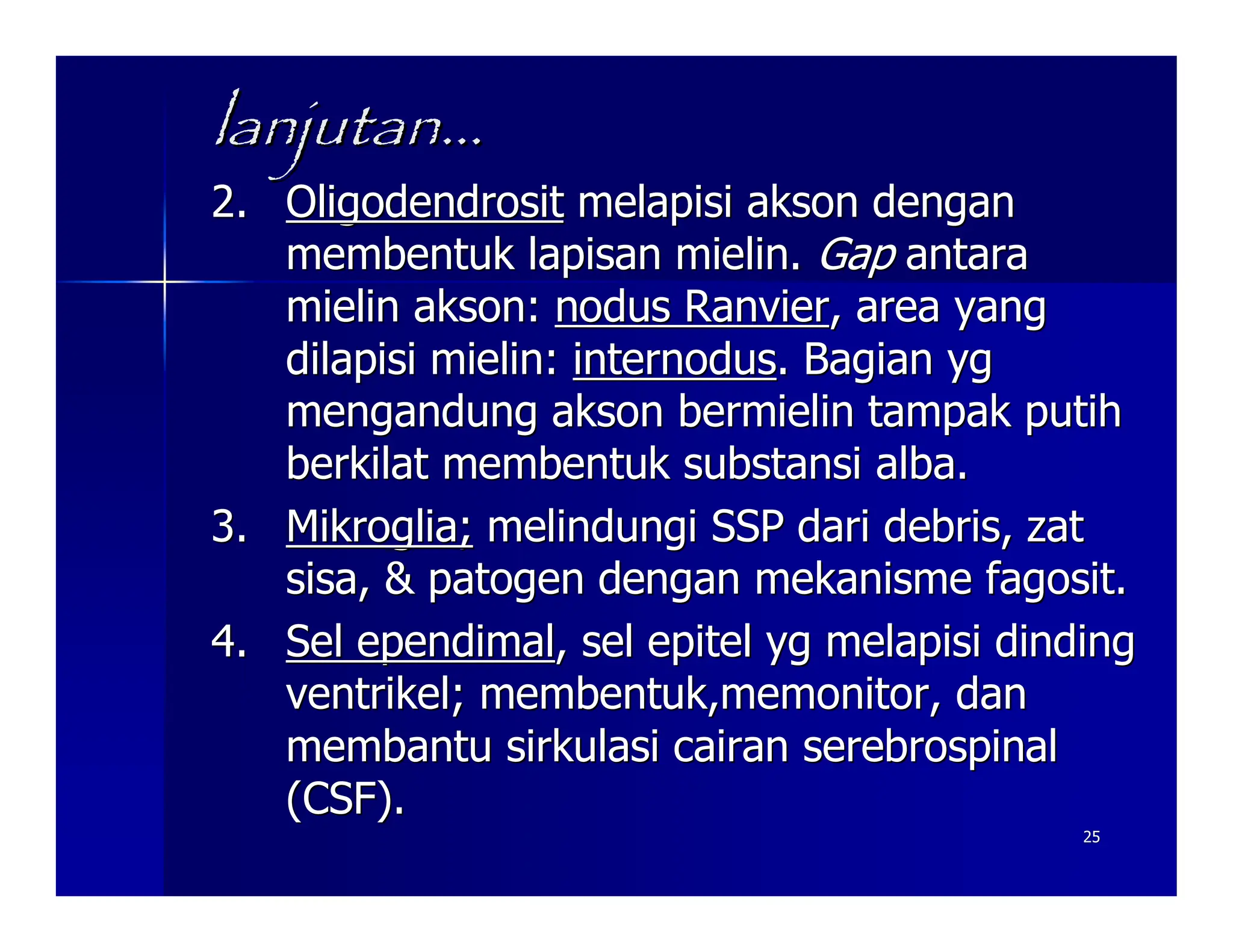 Anatomi Sistem Saraf Pusat dan Sistem Saraf Tepi | PDF