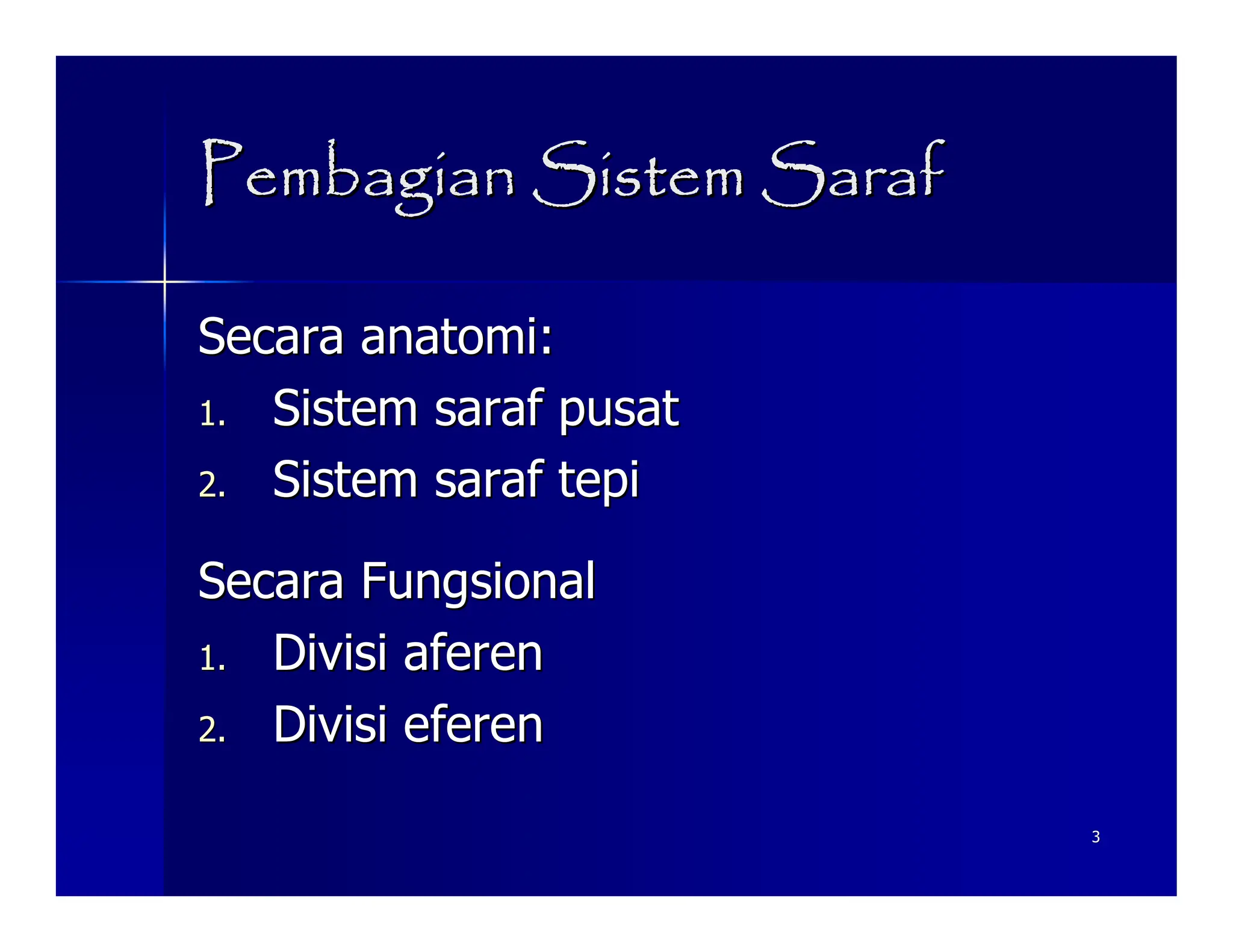 Anatomi Sistem Saraf Pusat dan Sistem Saraf Tepi | PDF