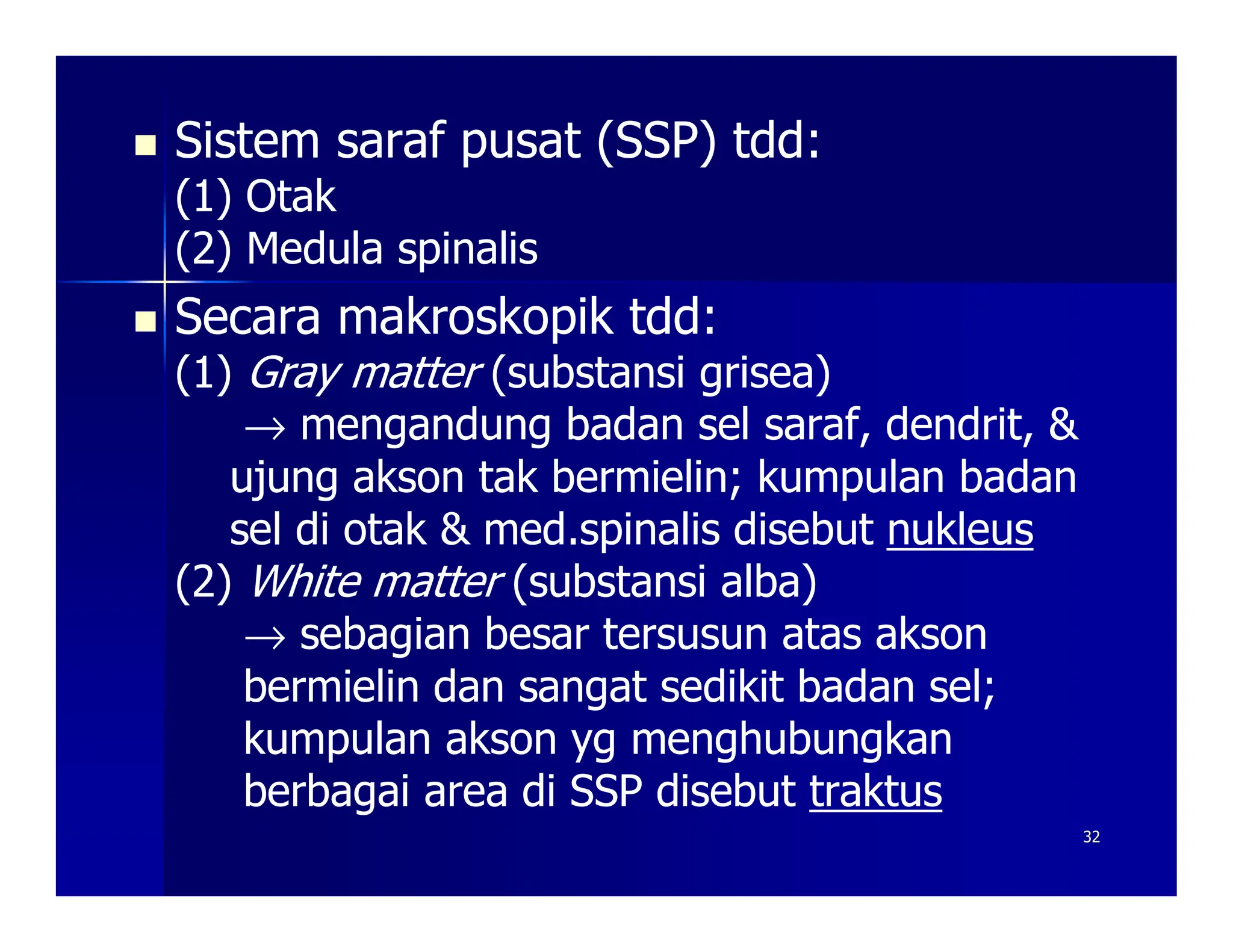 Anatomi Sistem Saraf Pusat dan Sistem Saraf Tepi | PDF