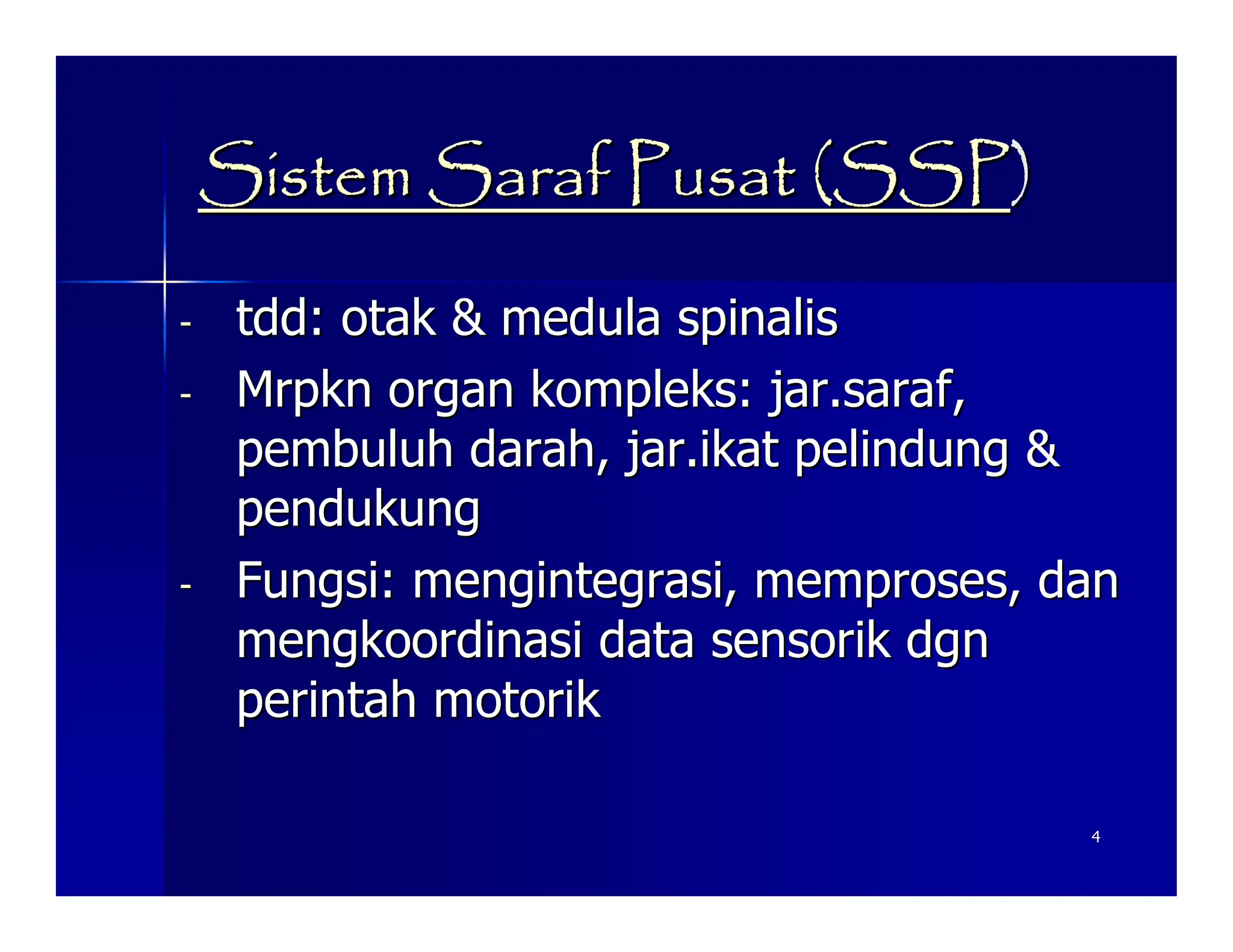 Anatomi Sistem Saraf Pusat dan Sistem Saraf Tepi | PDF