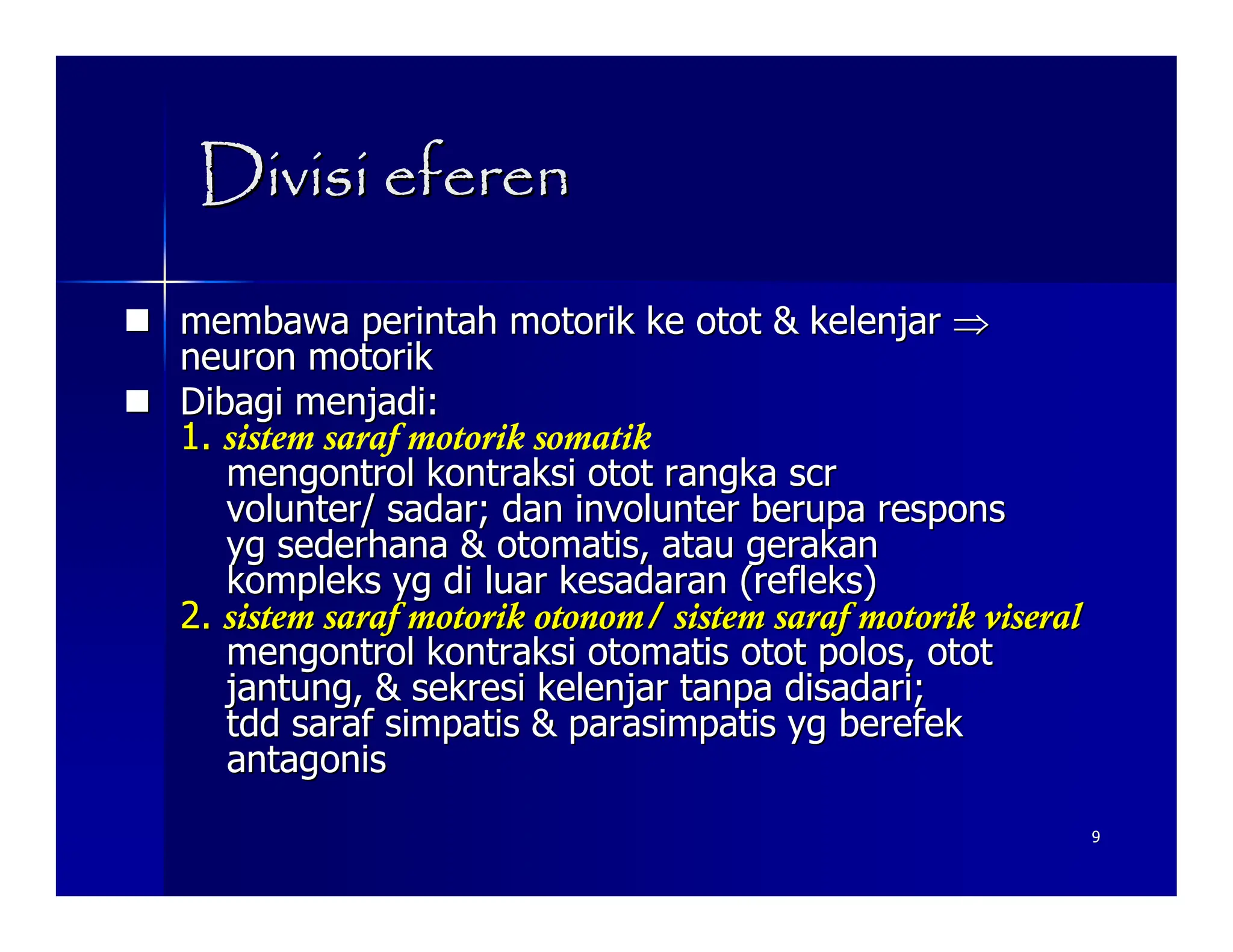 Anatomi Sistem Saraf Pusat dan Sistem Saraf Tepi | PDF