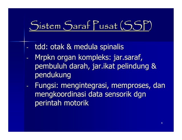 Anatomi Sistem Saraf Pusat dan Sistem Saraf Tepi | PDF