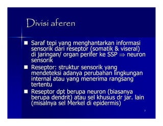 Anatomi Sistem Saraf Pusat dan Sistem Saraf Tepi | PDF