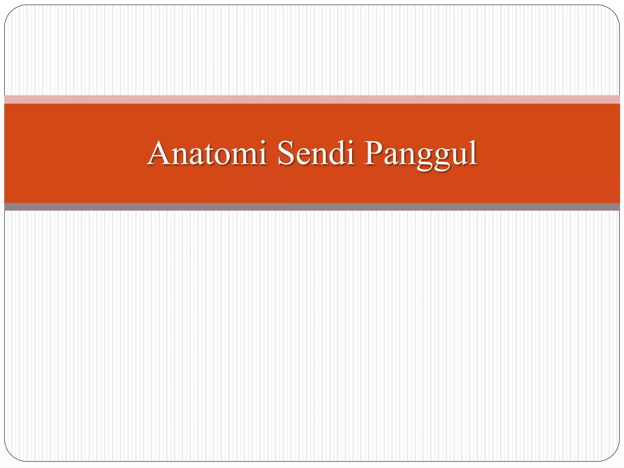 Anatomi sendi panggul | PPTX
