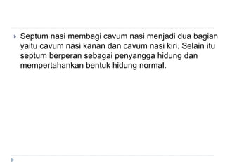 Anatomi septum | PPTX