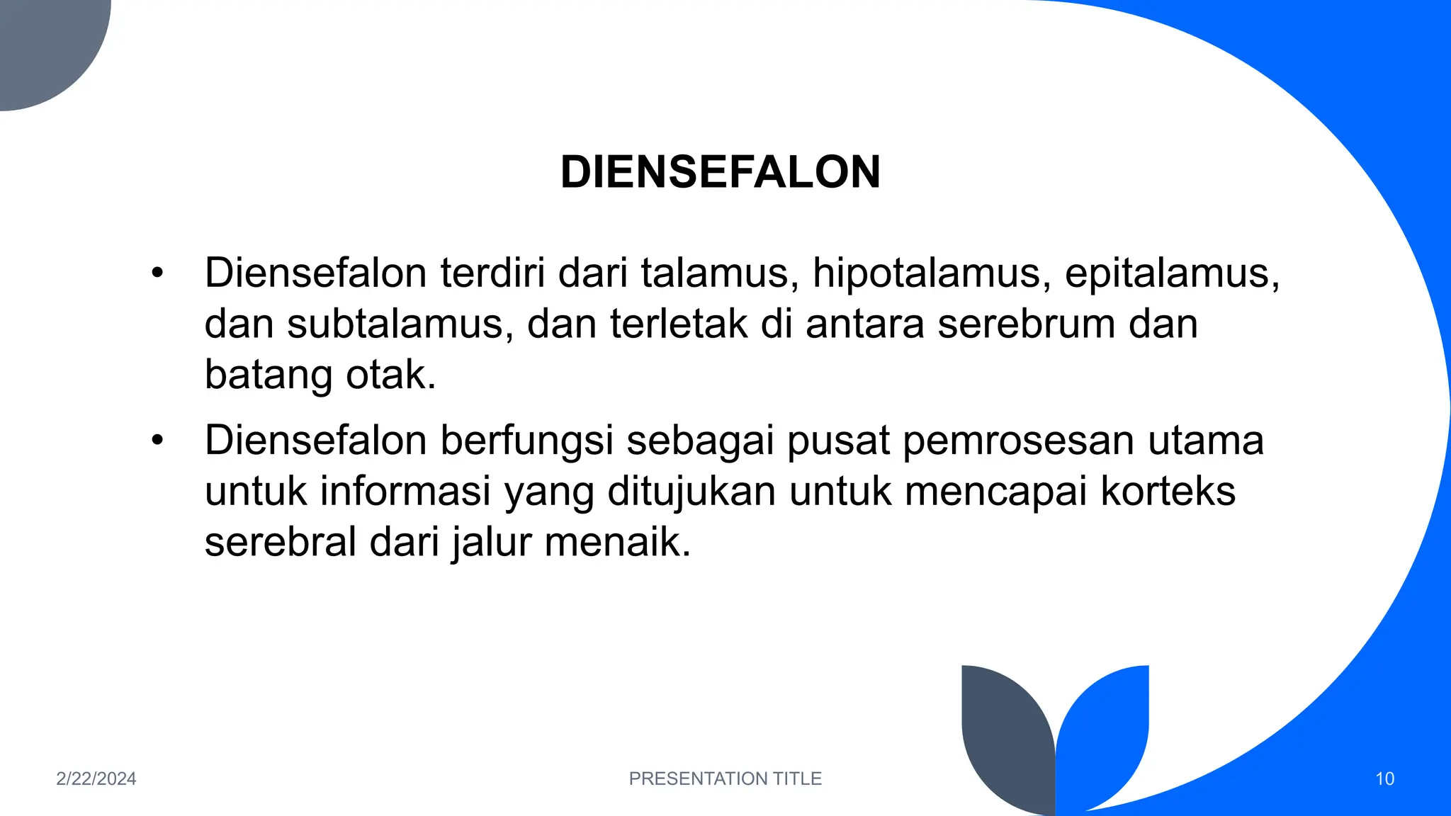 Pembahasan materi mengenai anatomi Serebrum.pptx
