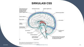 Pembahasan materi mengenai anatomi Serebrum.pptx
