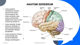 Pembahasan materi mengenai anatomi Serebrum.pptx