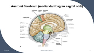 Pembahasan materi mengenai anatomi Serebrum.pptx