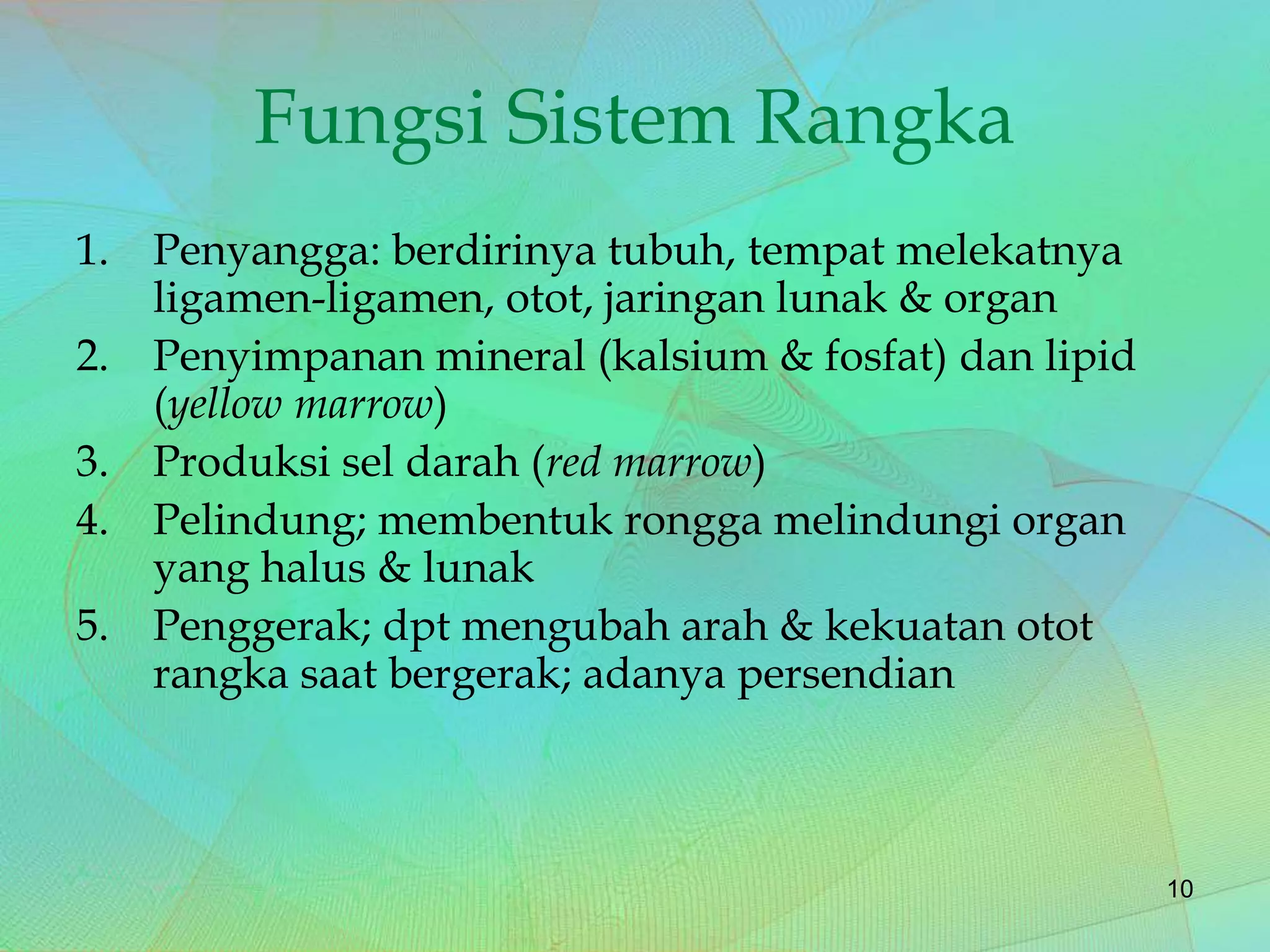 ANATOMI SIST. MUSKULOSKELETAL.ppt