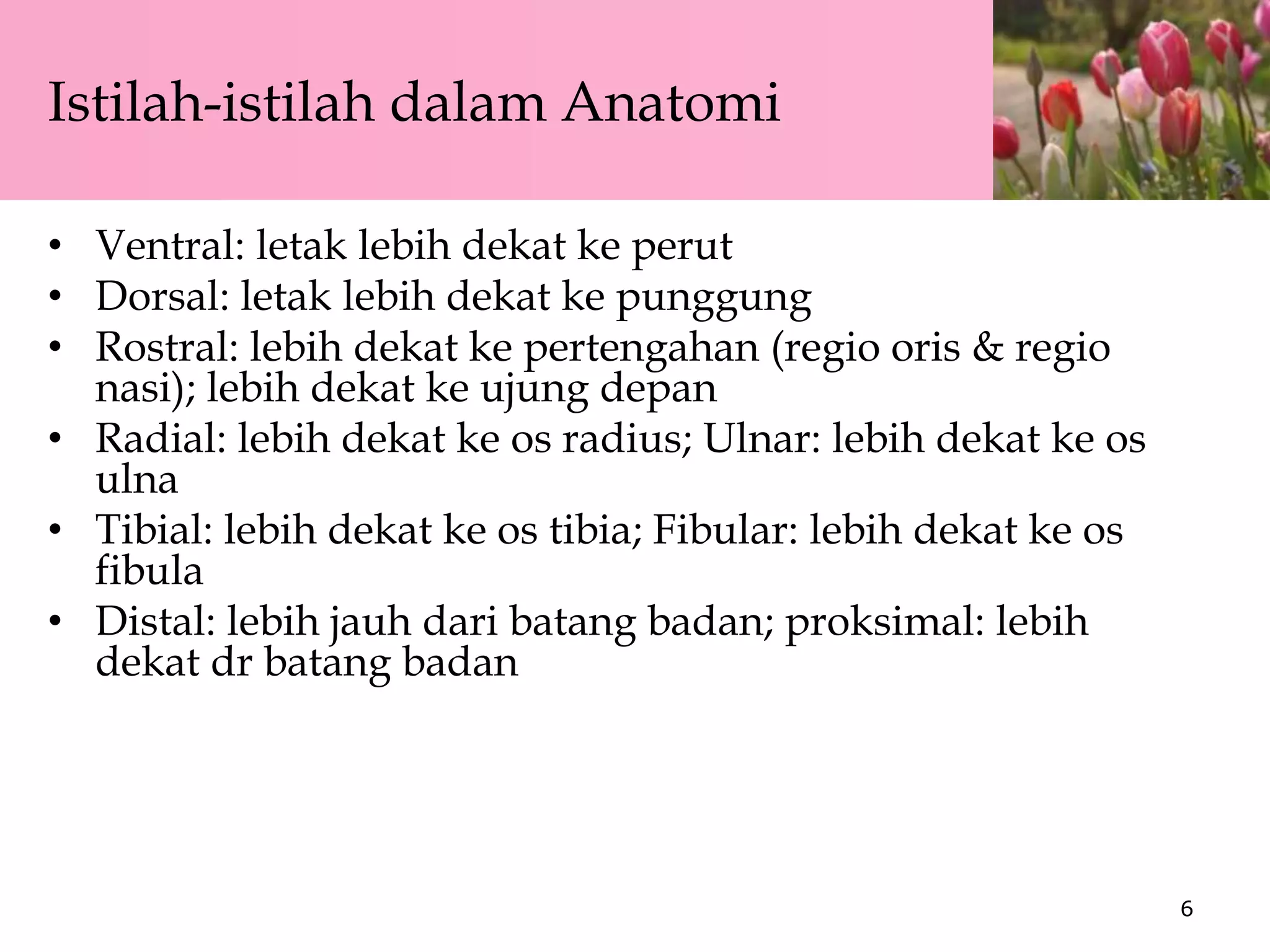 ANATOMI SIST. MUSKULOSKELETAL.ppt