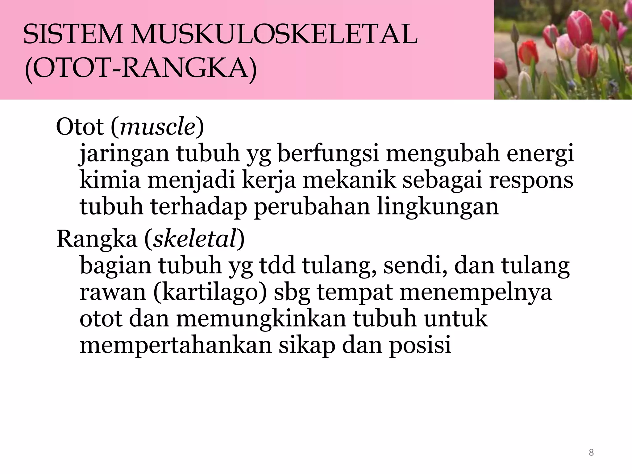 ANATOMI SIST. MUSKULOSKELETAL.ppt