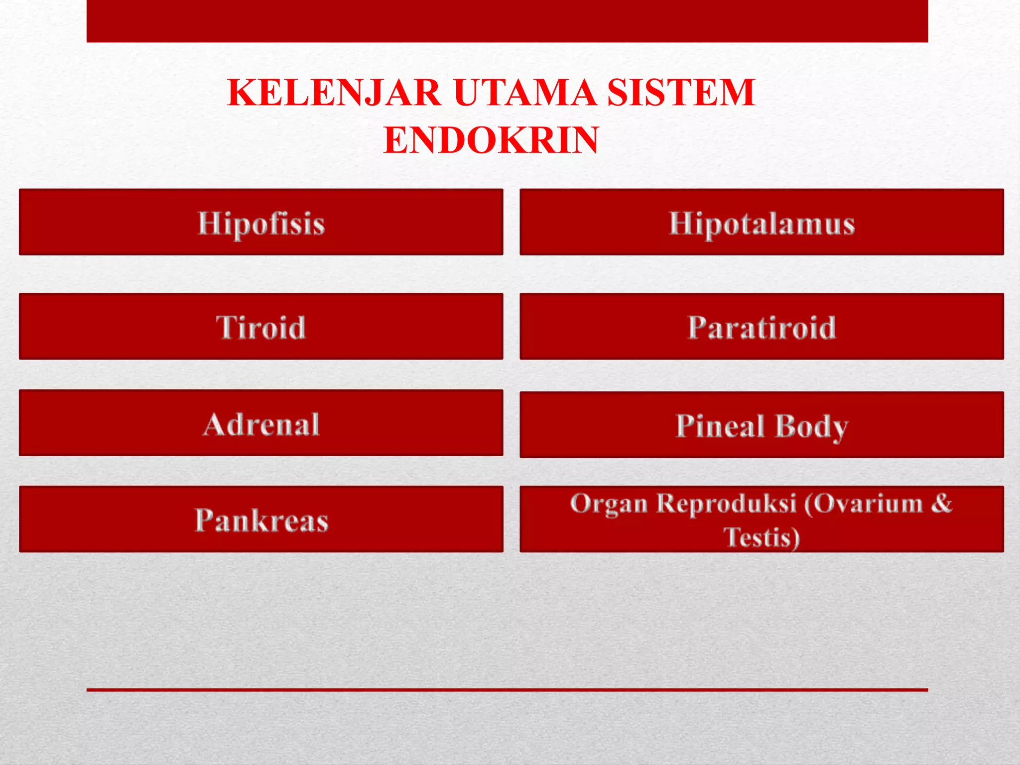 ANATOMI_SISTEM_ENDOKRIN_PPT.pptx