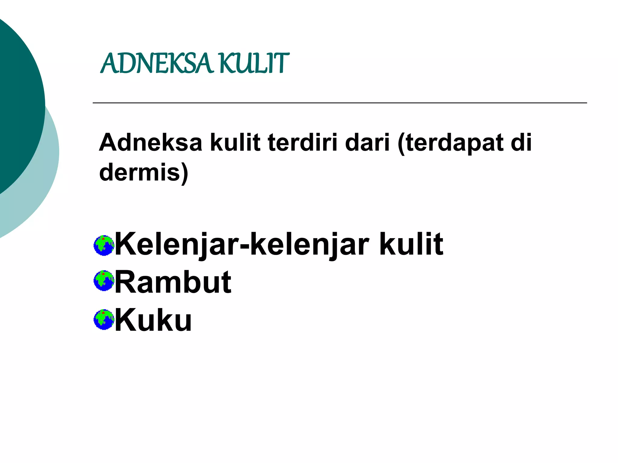 ANATOMI SISTEM INTEGUMEN Budi Antoro.ppt