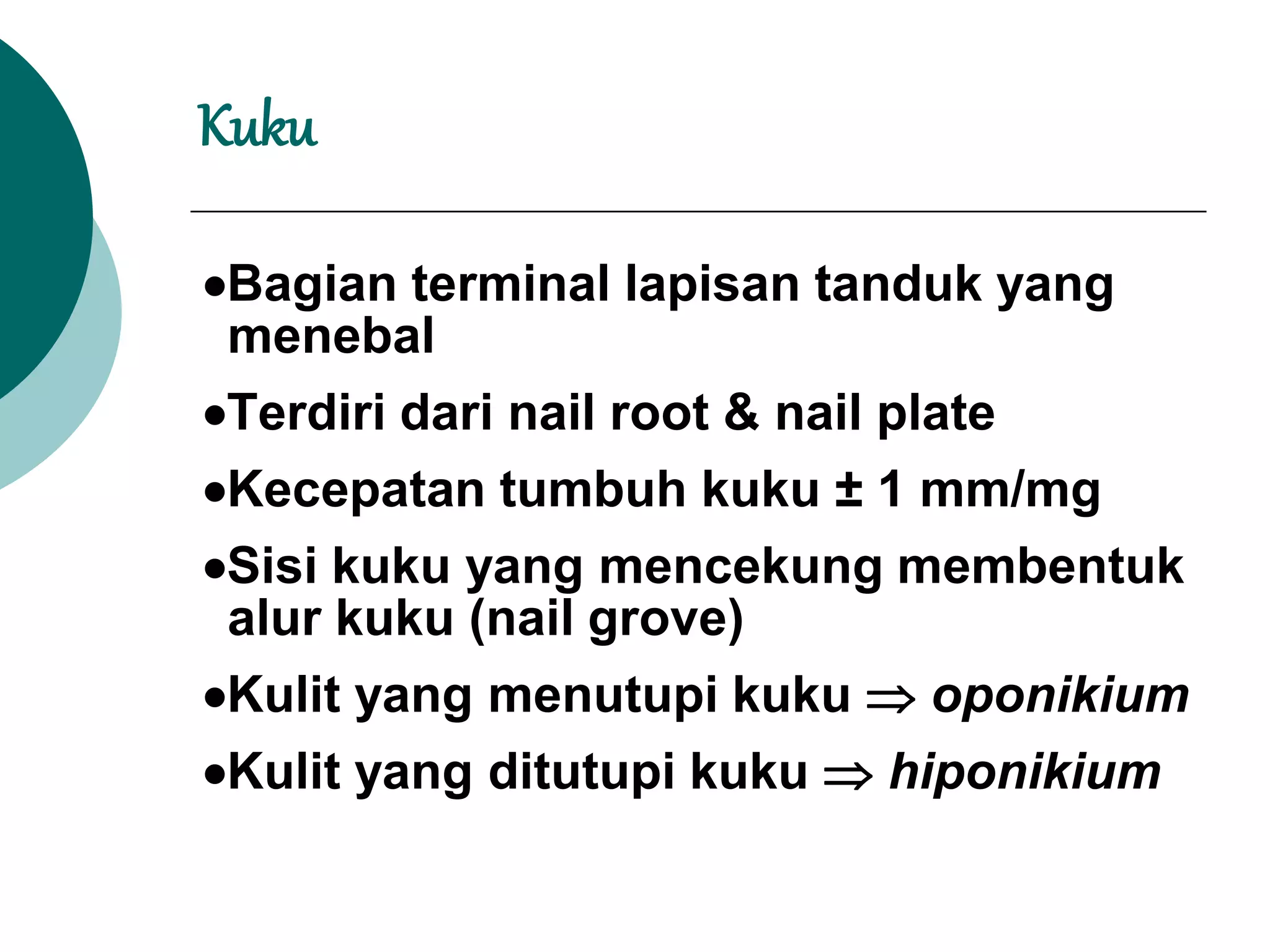 ANATOMI SISTEM INTEGUMEN Budi Antoro.ppt