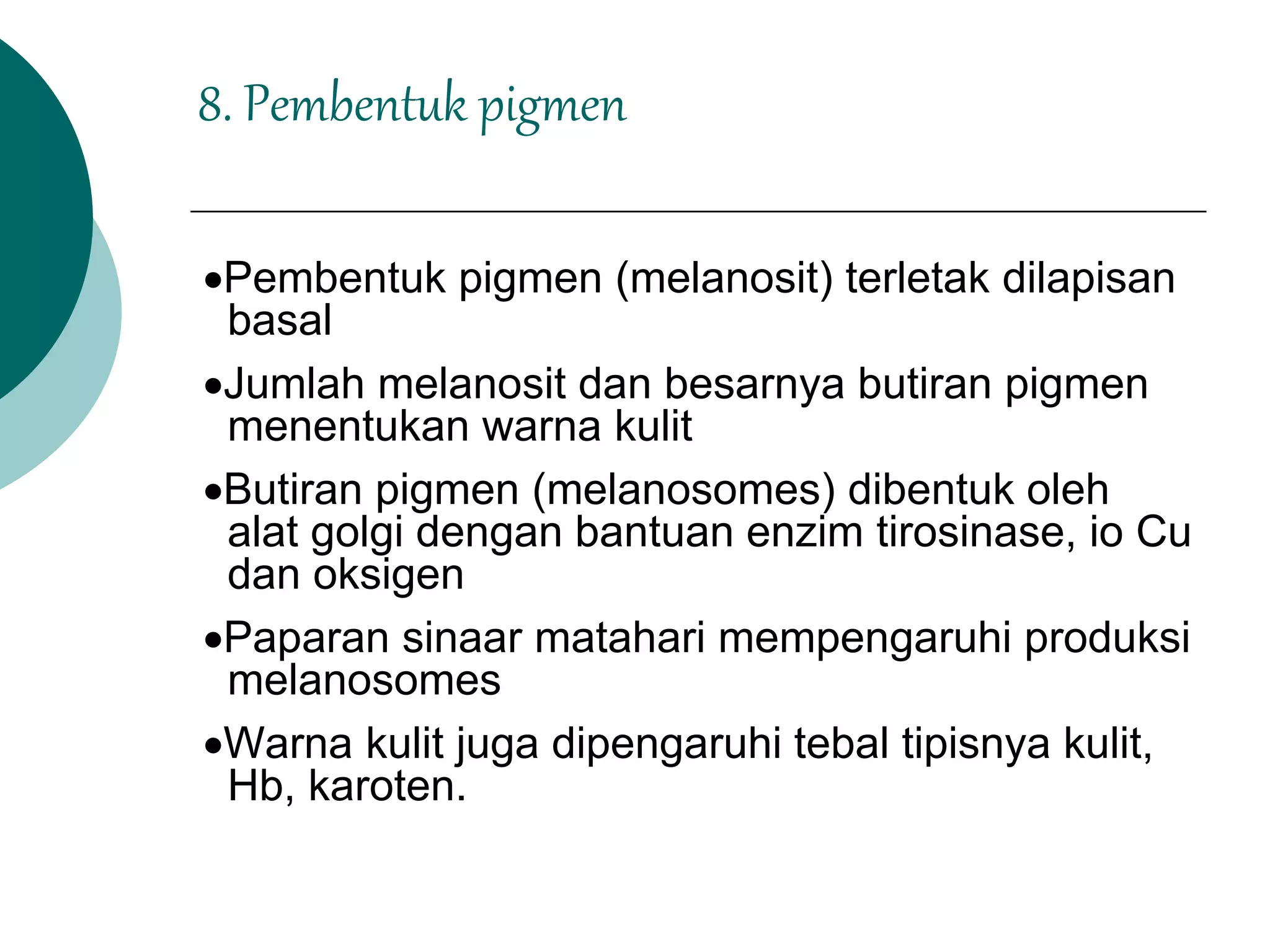 ANATOMI SISTEM INTEGUMEN Budi Antoro.ppt