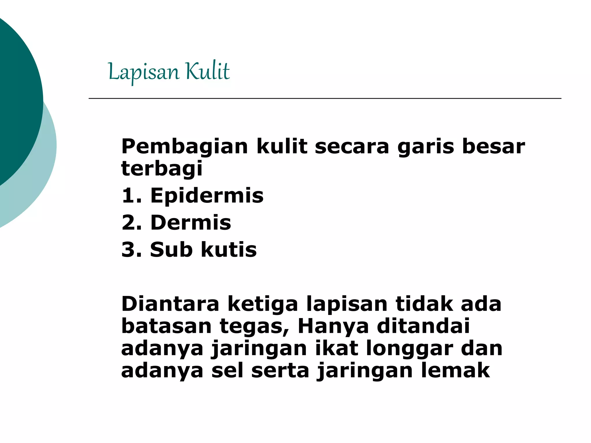 ANATOMI SISTEM INTEGUMEN Budi Antoro.ppt