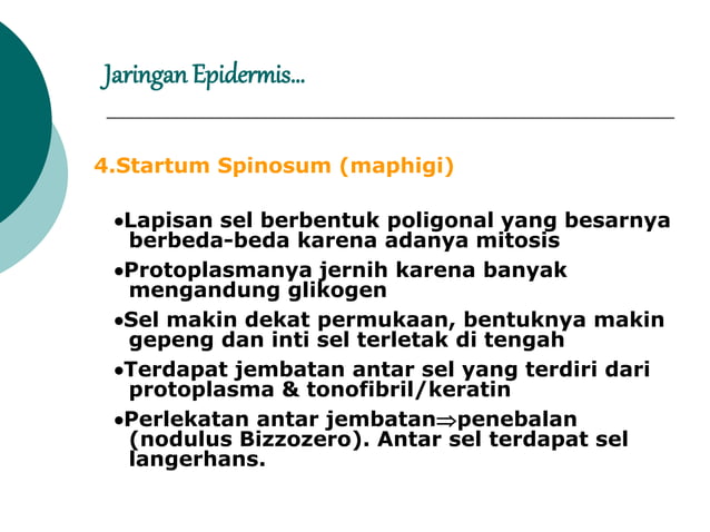 ANATOMI SISTEM INTEGUMEN Budi Antoro.ppt