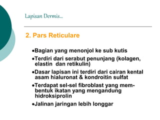 ANATOMI SISTEM INTEGUMEN Budi Antoro.ppt