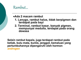 ANATOMI SISTEM INTEGUMEN Budi Antoro.ppt