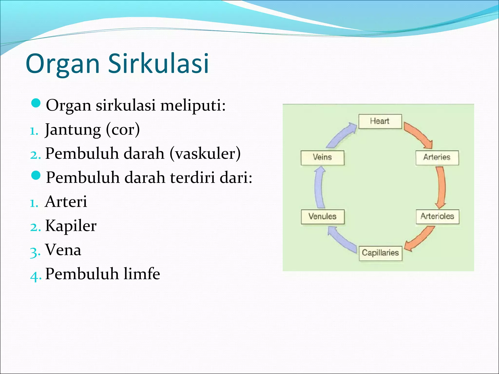 Anatomi sistem kardiovaskuler | PPT