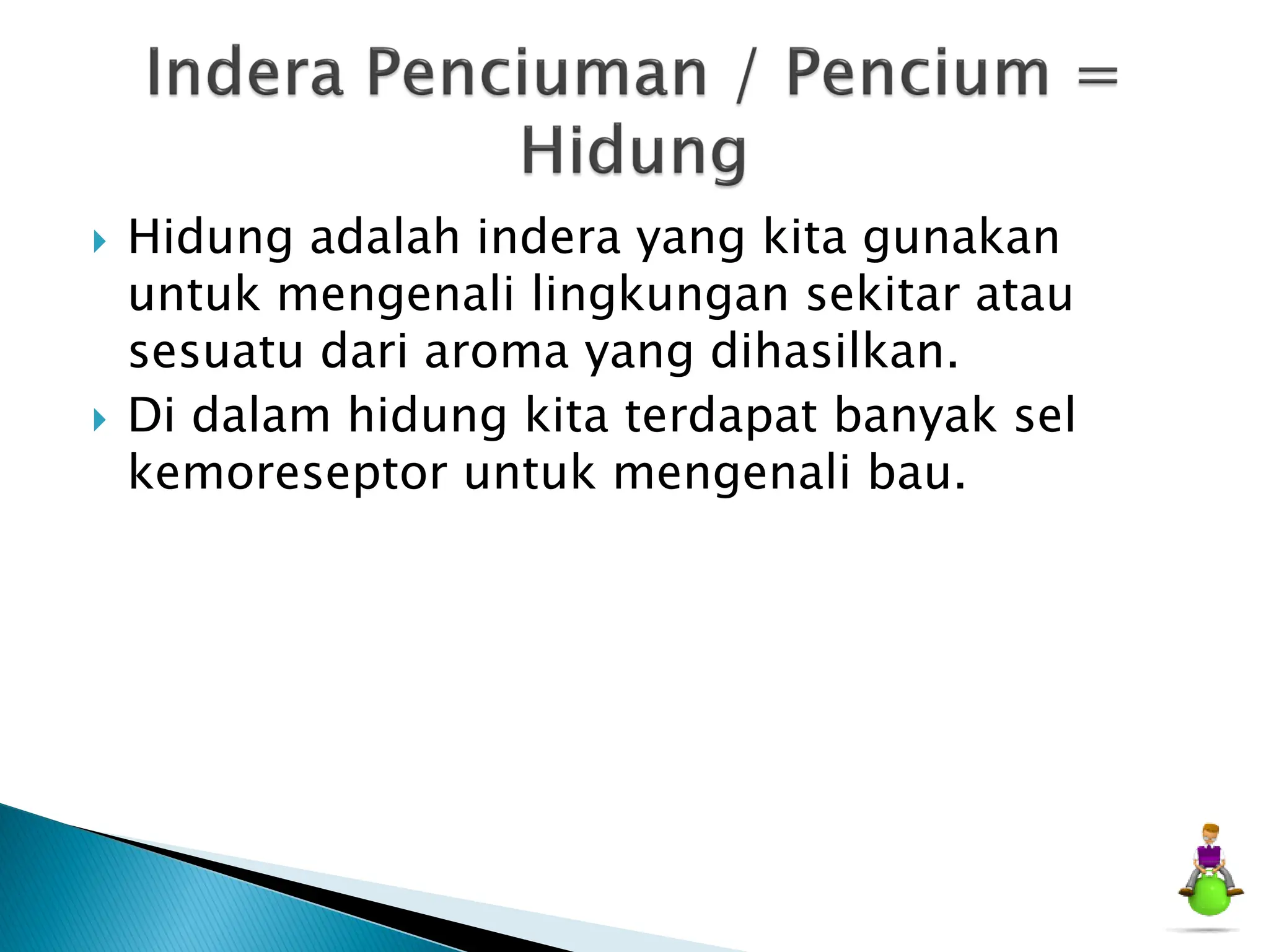 ANATOMI SISTEM PANCA INDRA__________.pdf