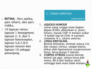 ANATOMI SISTEM PANCA INDRA__________.pdf