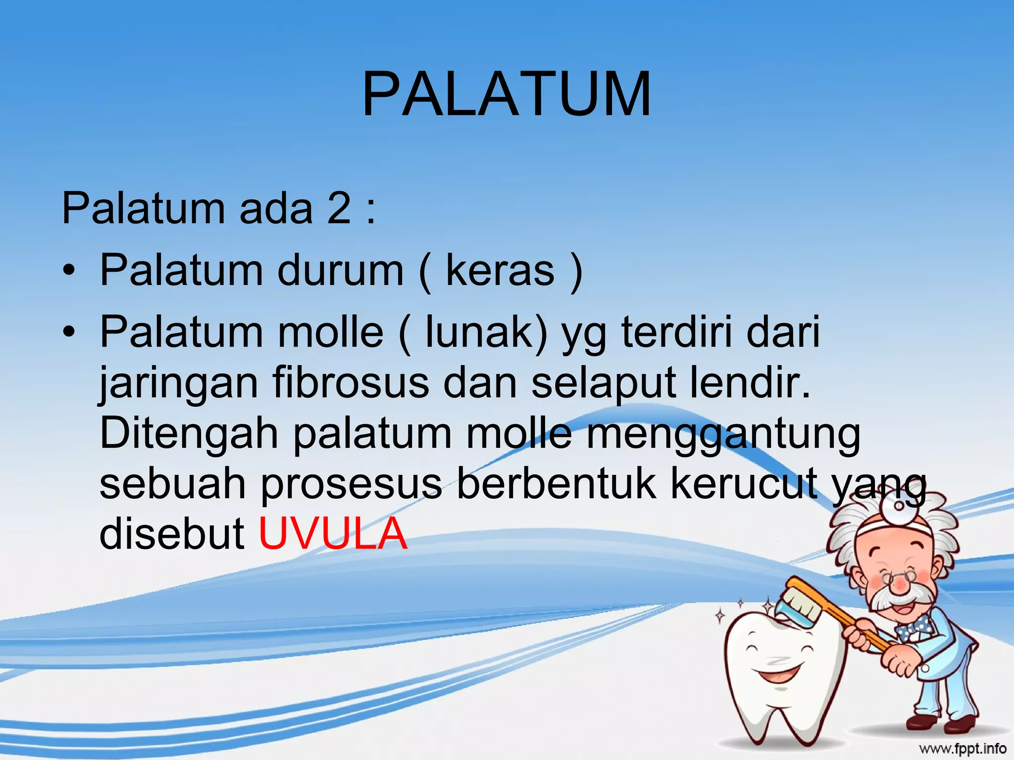 Anatomi sistem pencernaan | PPT