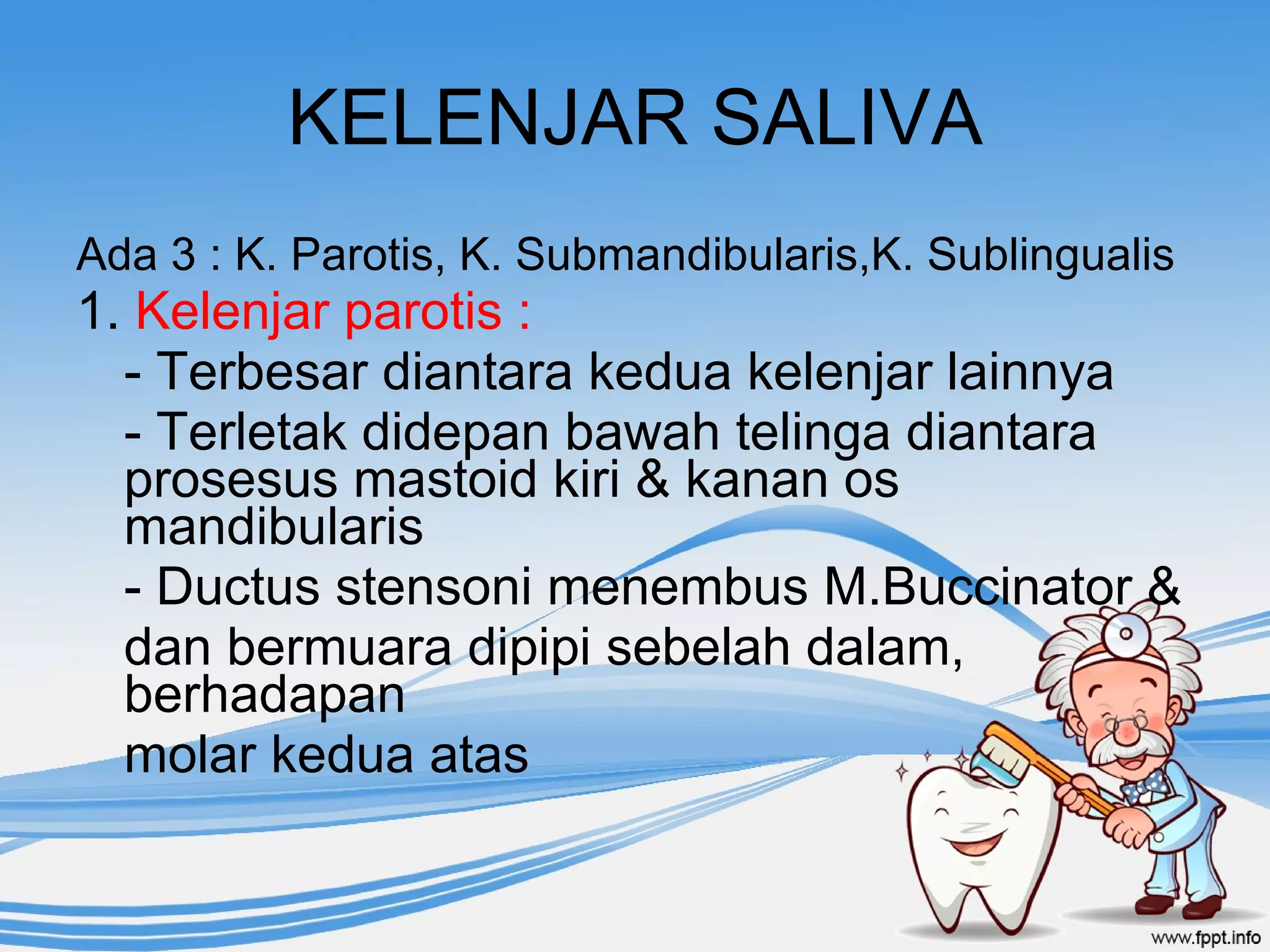 Anatomi sistem pencernaan | PPT