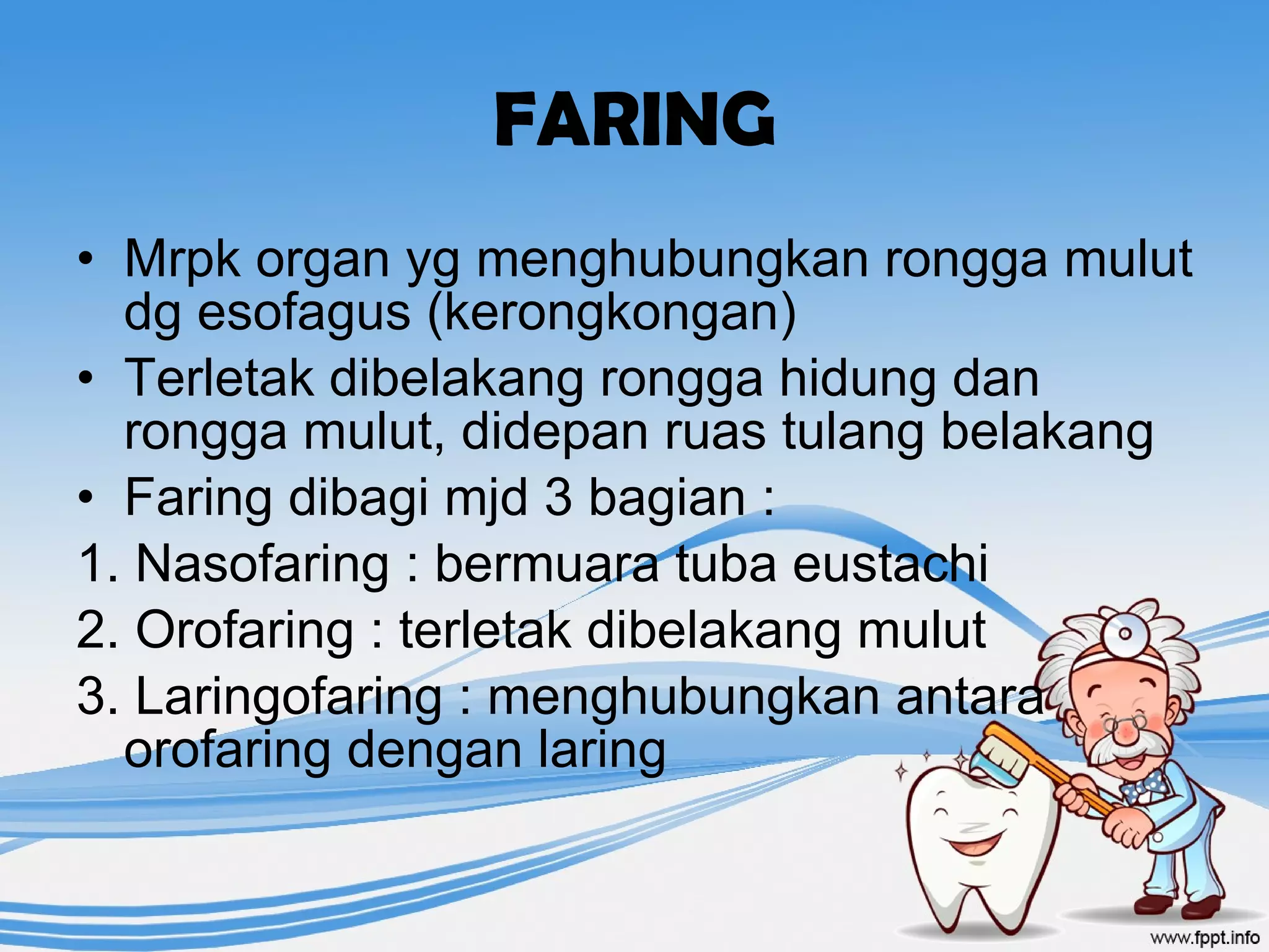 Anatomi sistem pencernaan | PPT