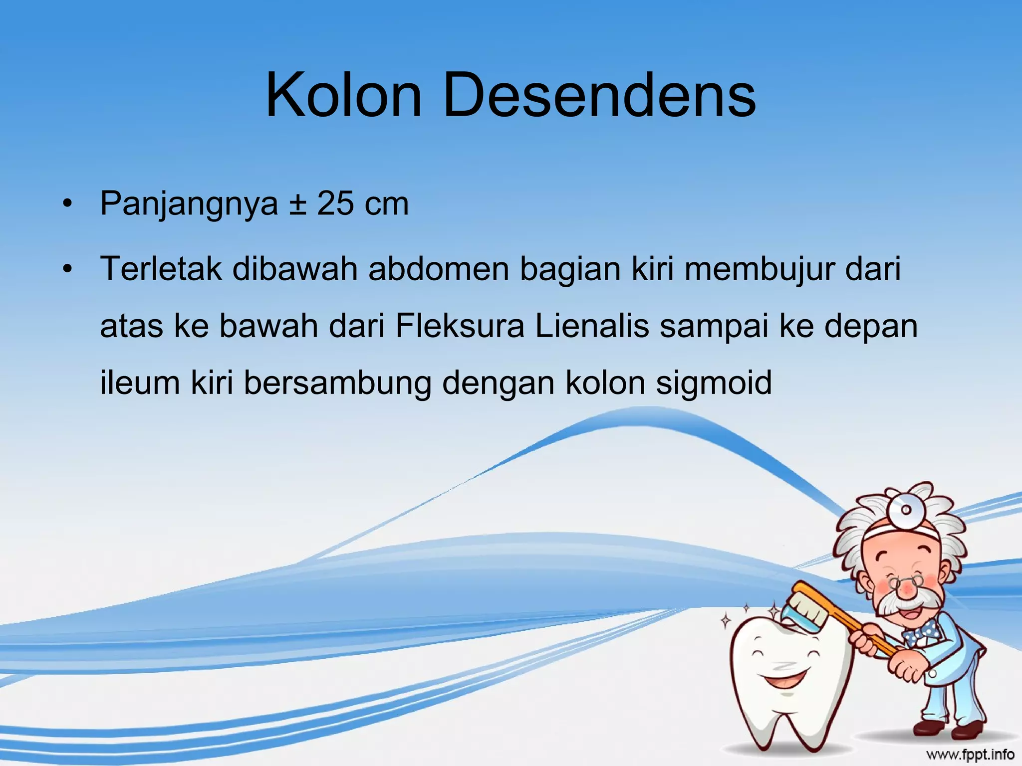 Anatomi sistem pencernaan | PPT