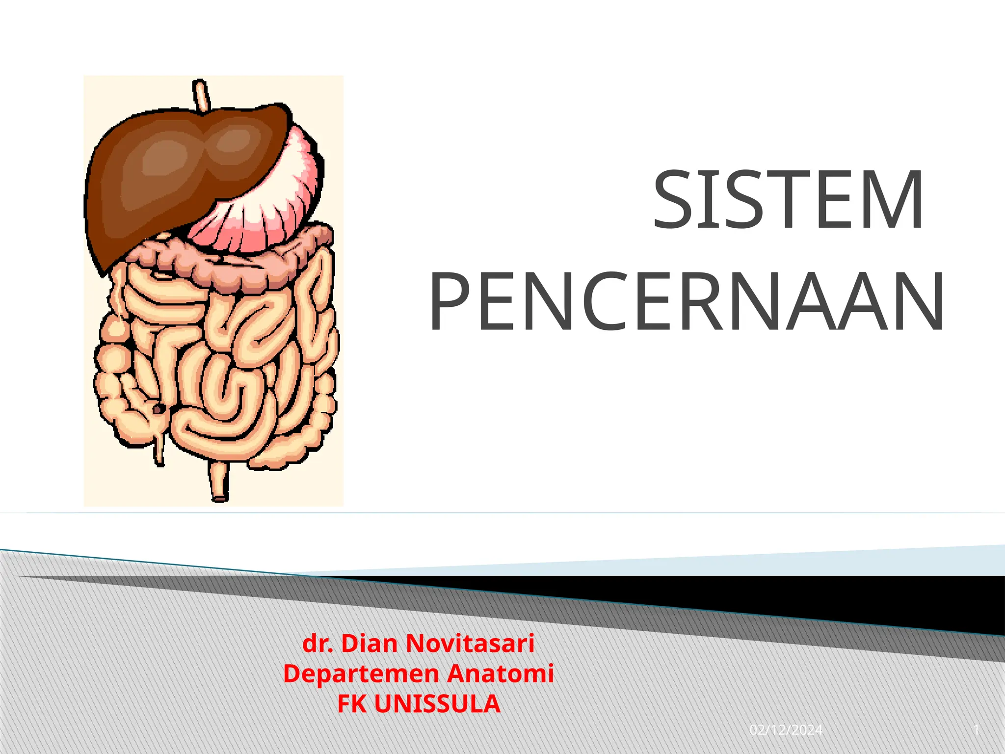ANATOMI SISTEM PENCERNAAN.ppt hvfhvhgcghcghcvhgchx | PPT