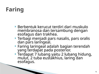 ANATOMI SISTEM PENCERNAAN.ppt hvfhvhgcghcghcvhgchx | PPTX