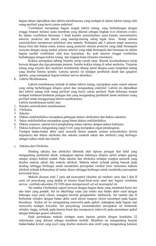 Anatomi sistem pendengaran | PDF