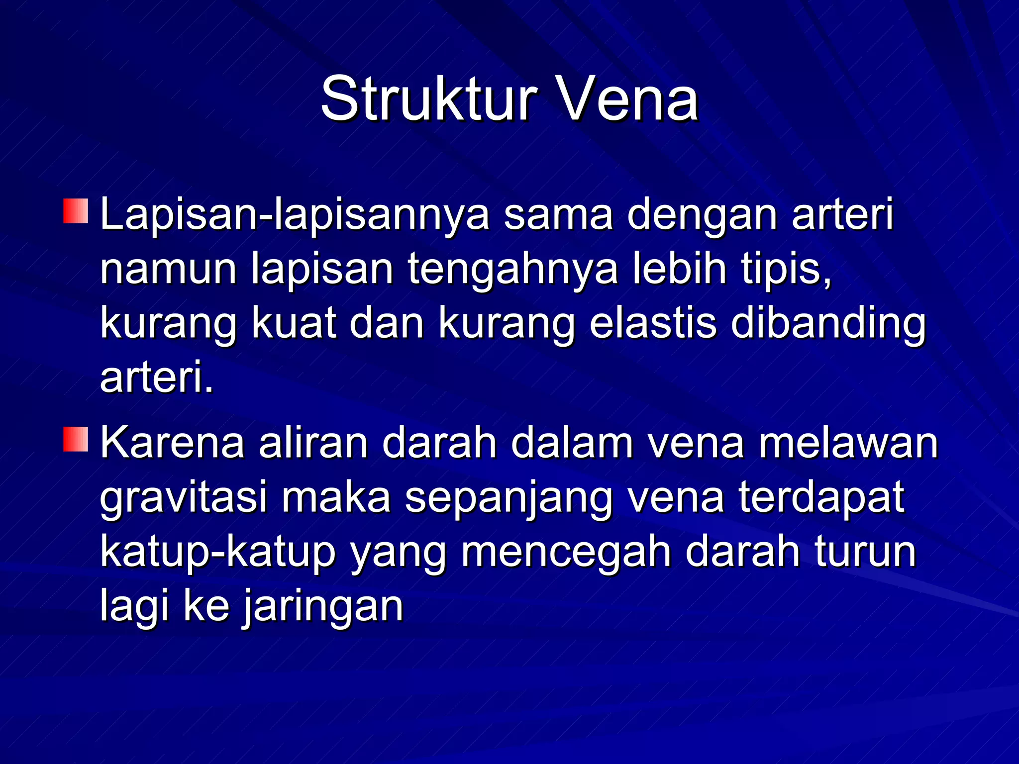 Anatomi sistem peredaran | PPT