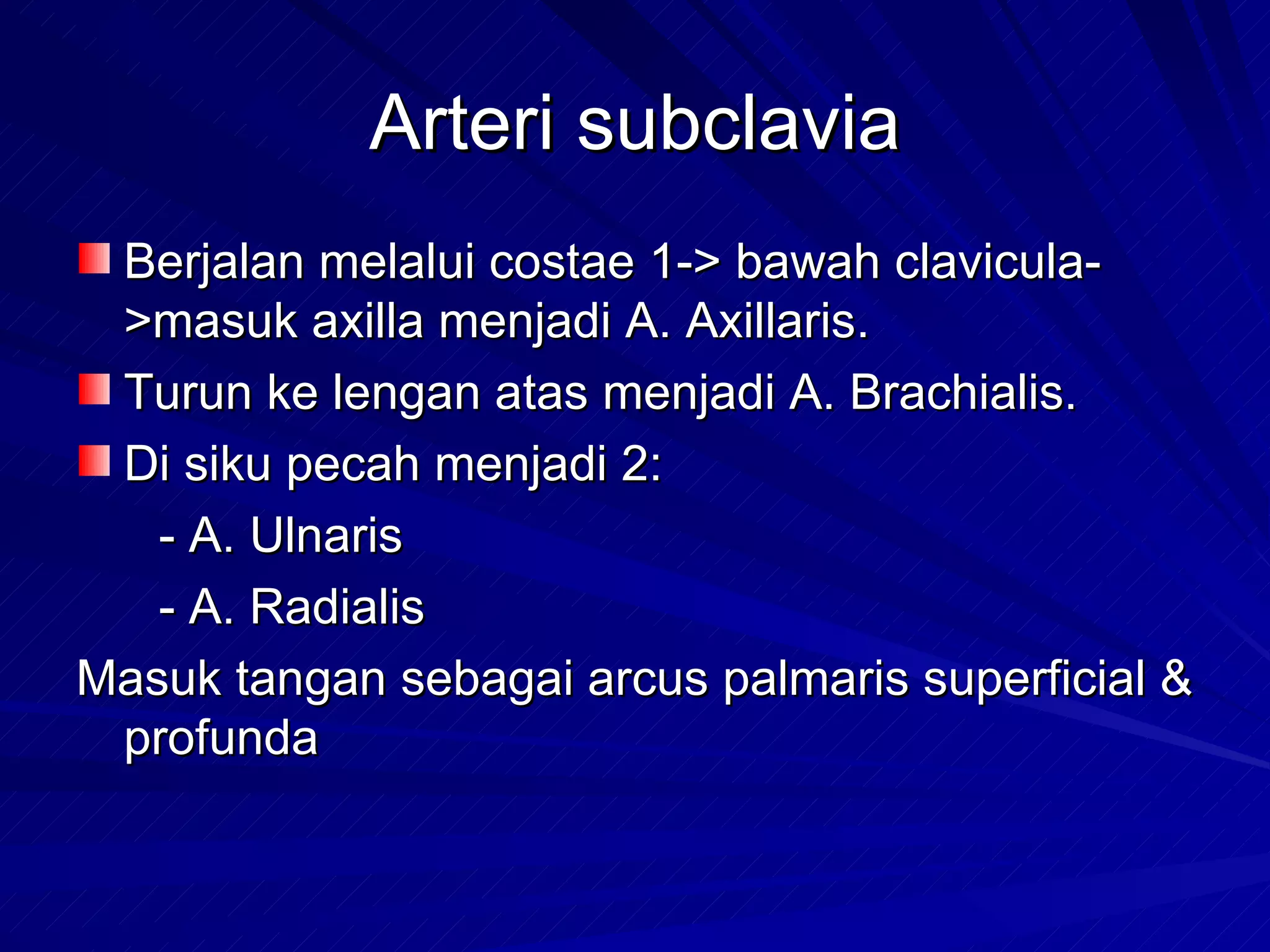 Anatomi sistem peredaran | PPT